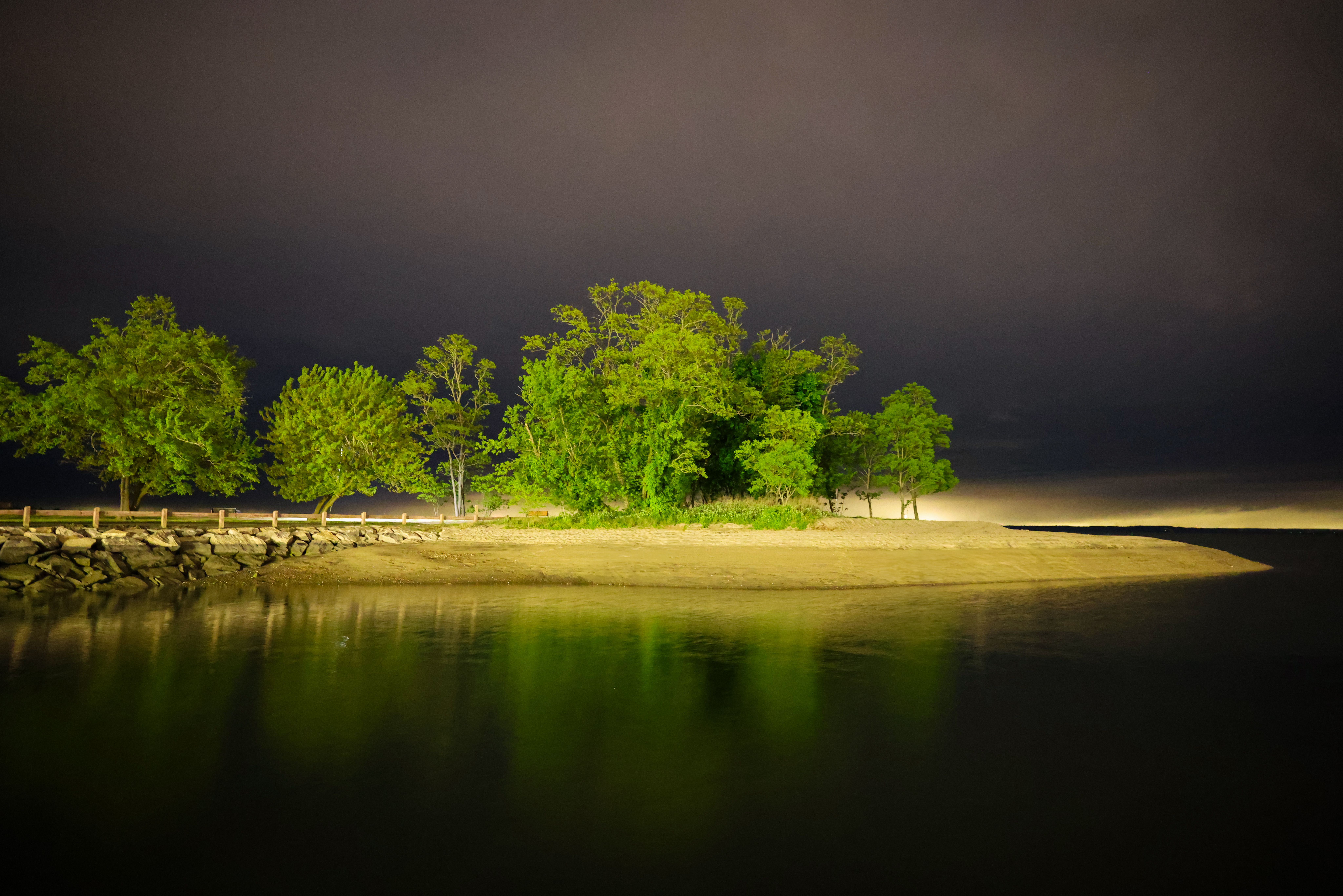 Dark Sky over Green Trees in the Cove Island Park · Free Stock Photo