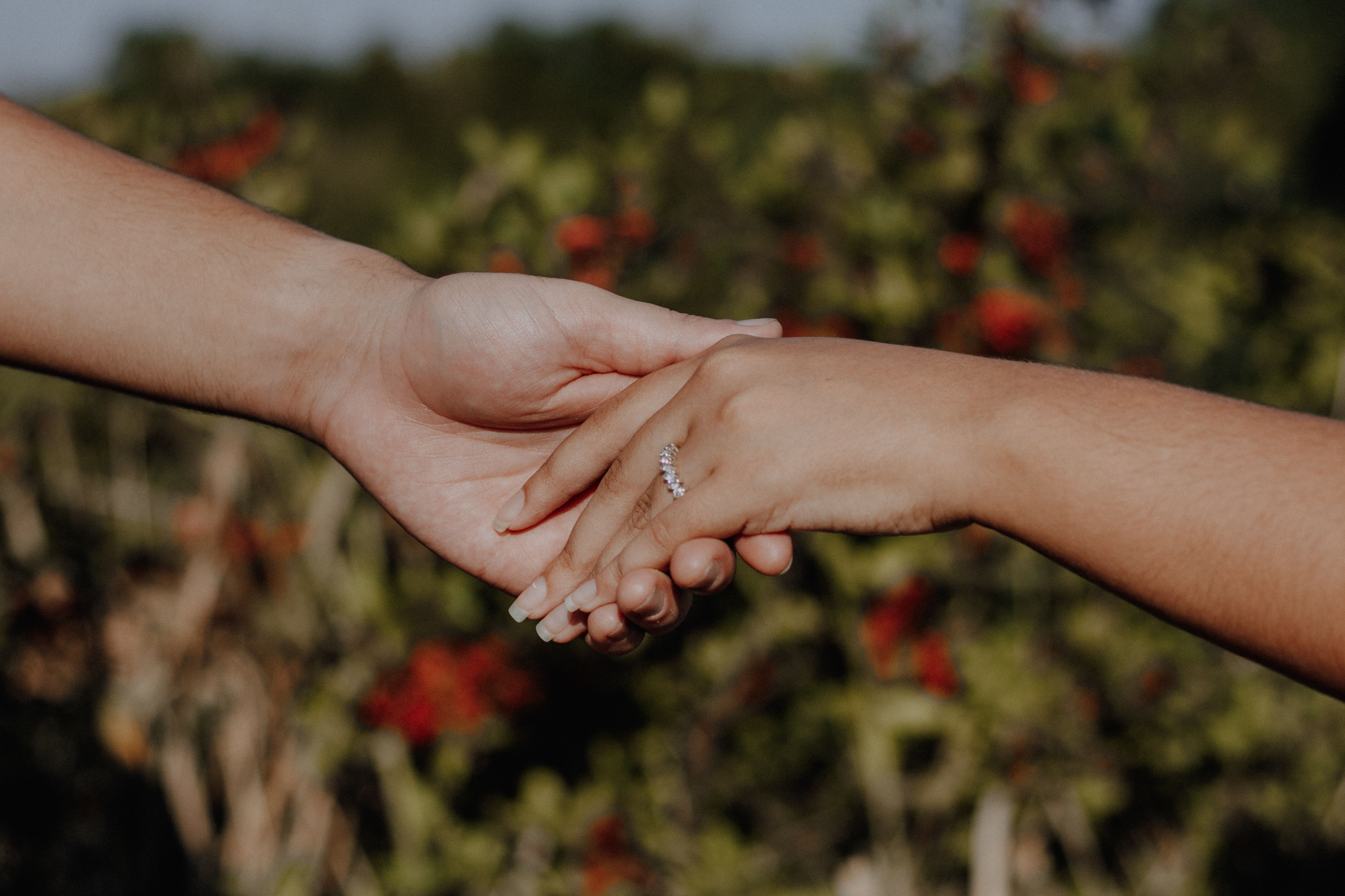 A couple holding hands in front of a bush · Free Stock Photo