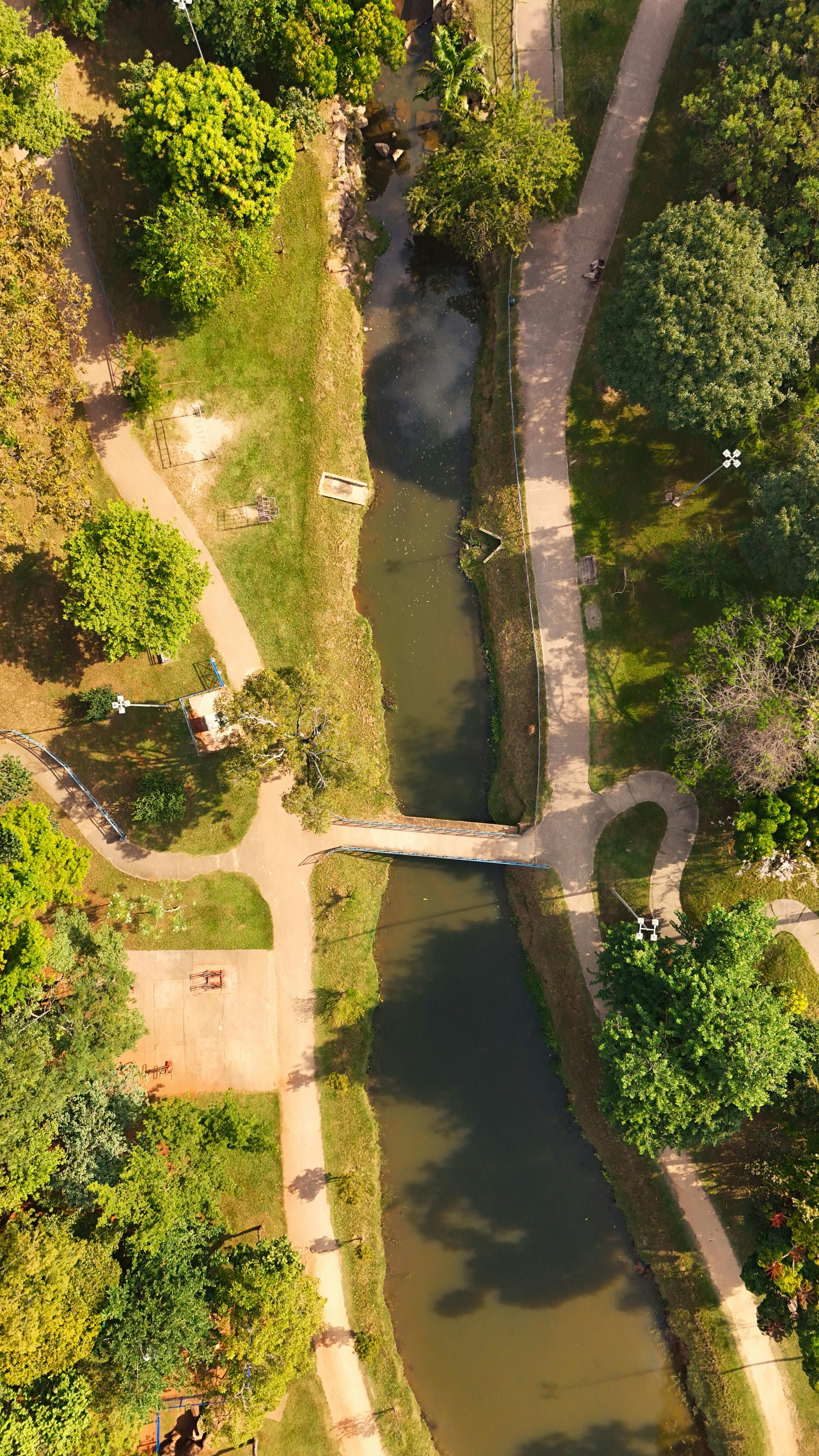 River in Park · Free Stock Photo