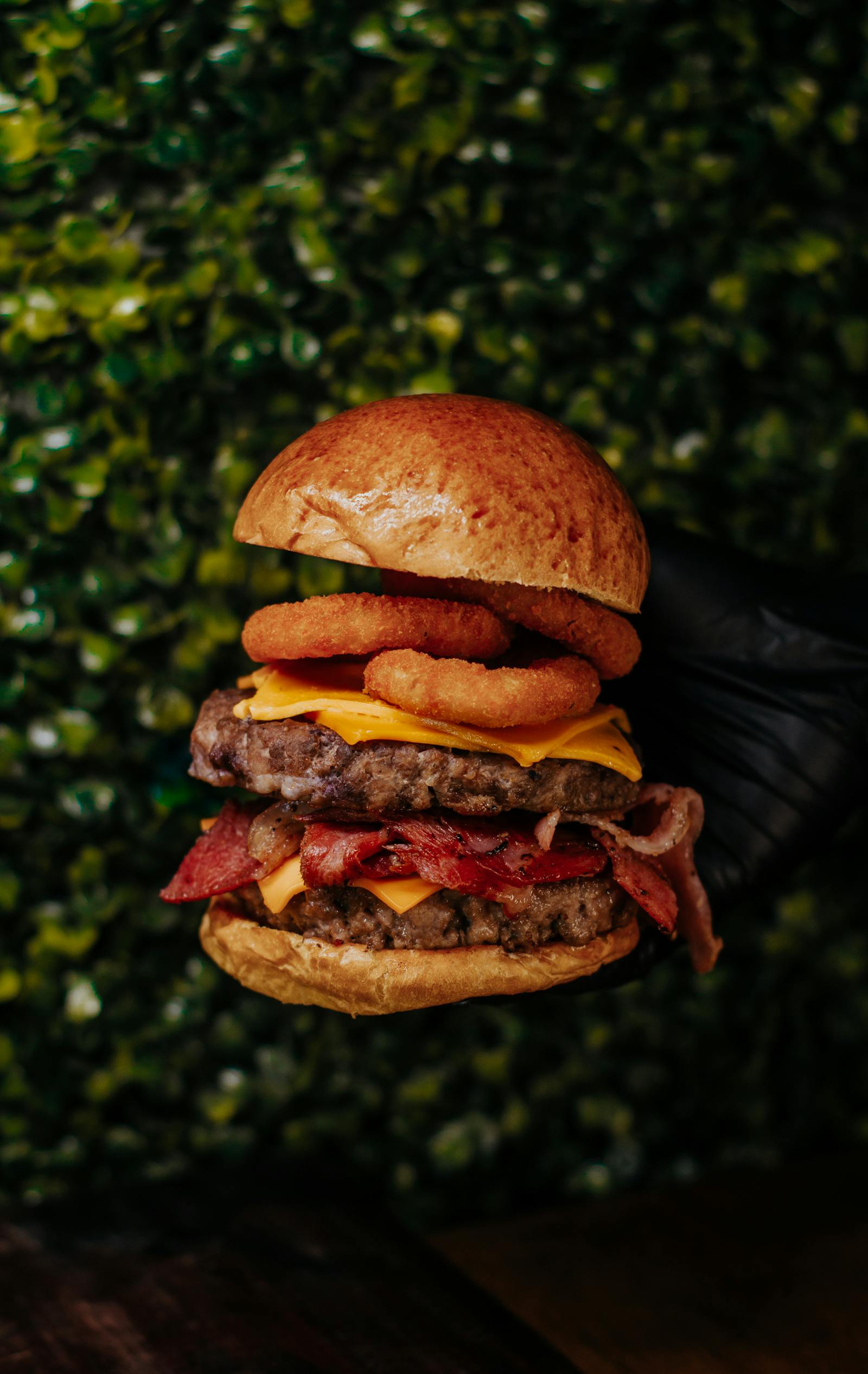 Burger Images Photos, Download The BEST Free Burger Images Stock Photos ...