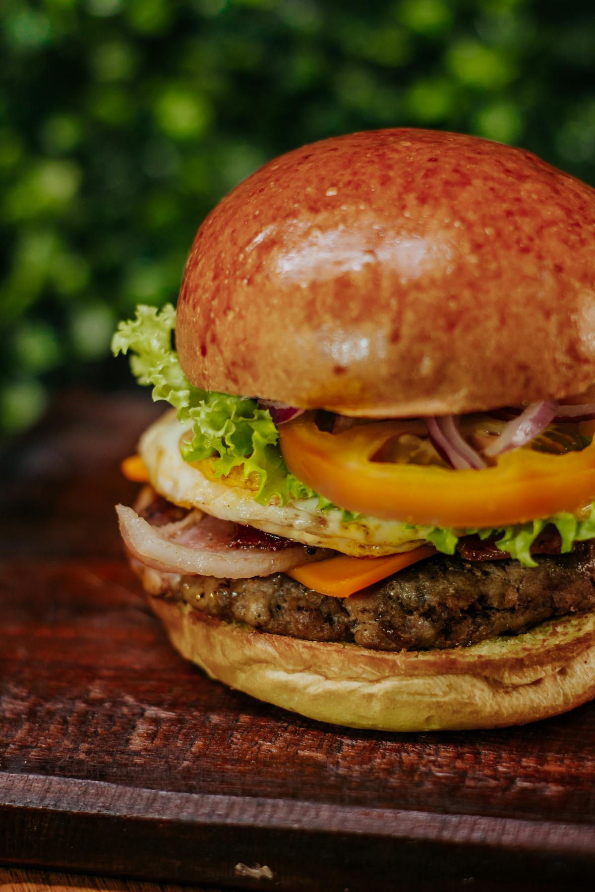 Burger Images Photos, Download The BEST Free Burger Images Stock Photos ...