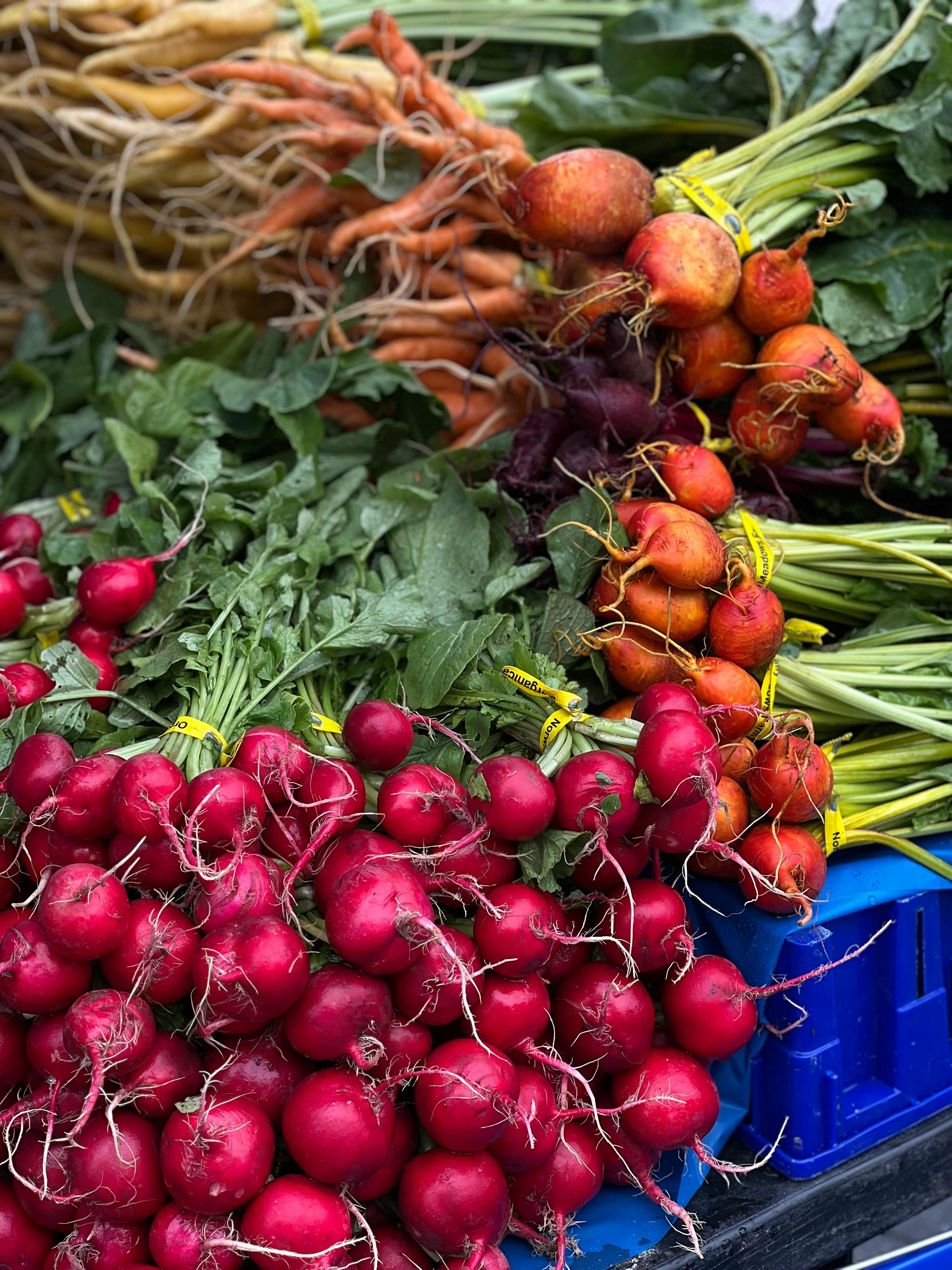 20.000+ melhores imagens de Vegetais · Download 100% grátis · Fotos ...