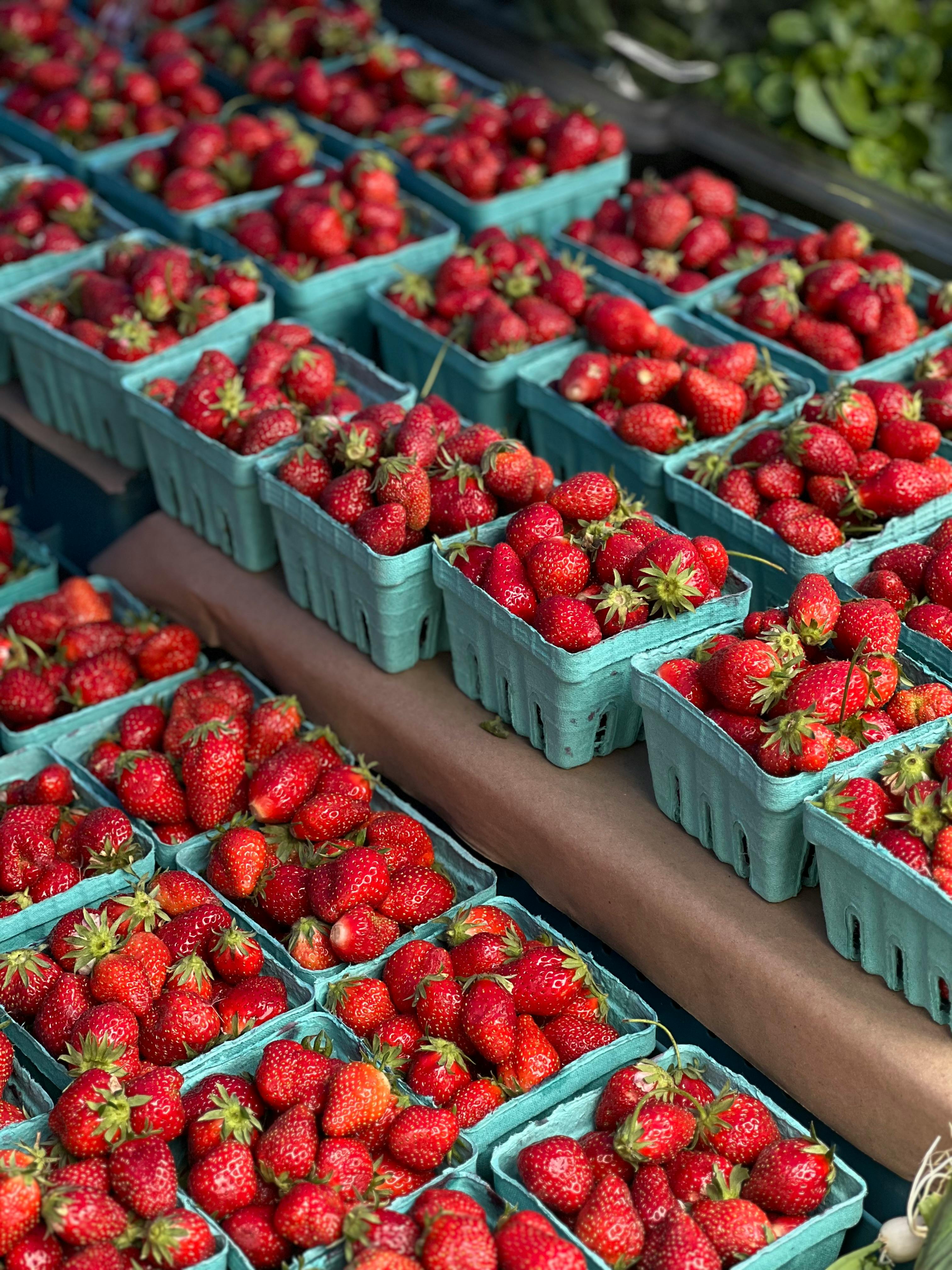 Boxes of Strawberries · Free Stock Photo