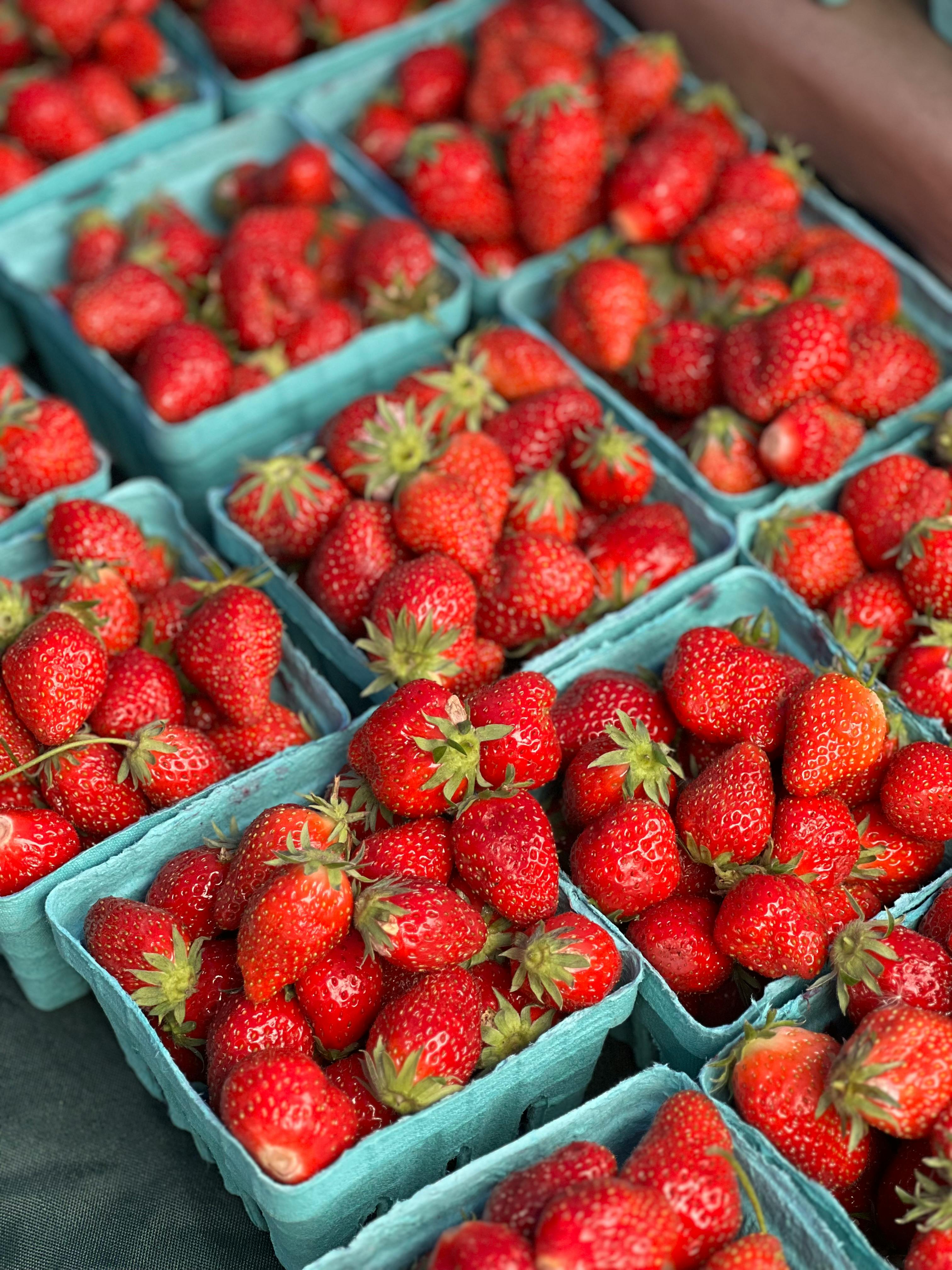 Drug Boxes Photos, Download The BEST Free Drug Boxes Stock Photos & HD ...