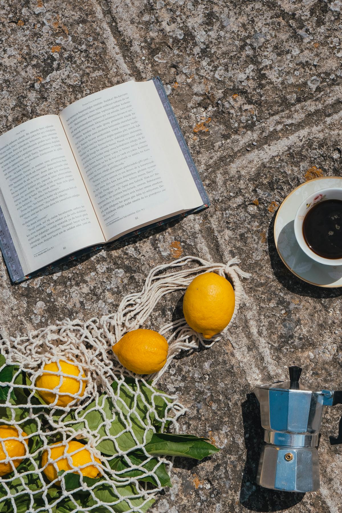 Torn Book Photos, Download The BEST Free Torn Book Stock Photos & HD Images