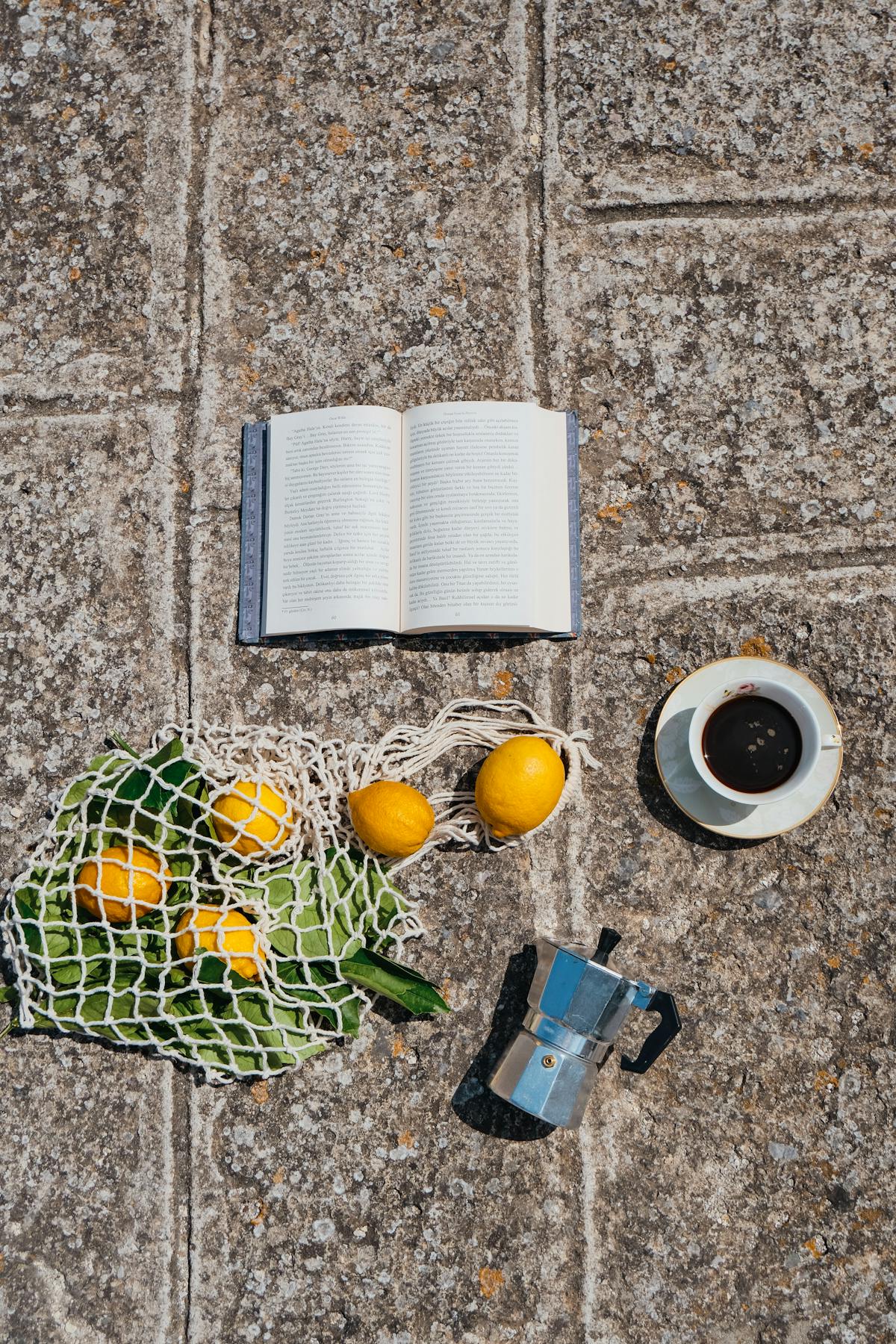 Torn Book Photos, Download The BEST Free Torn Book Stock Photos & HD Images