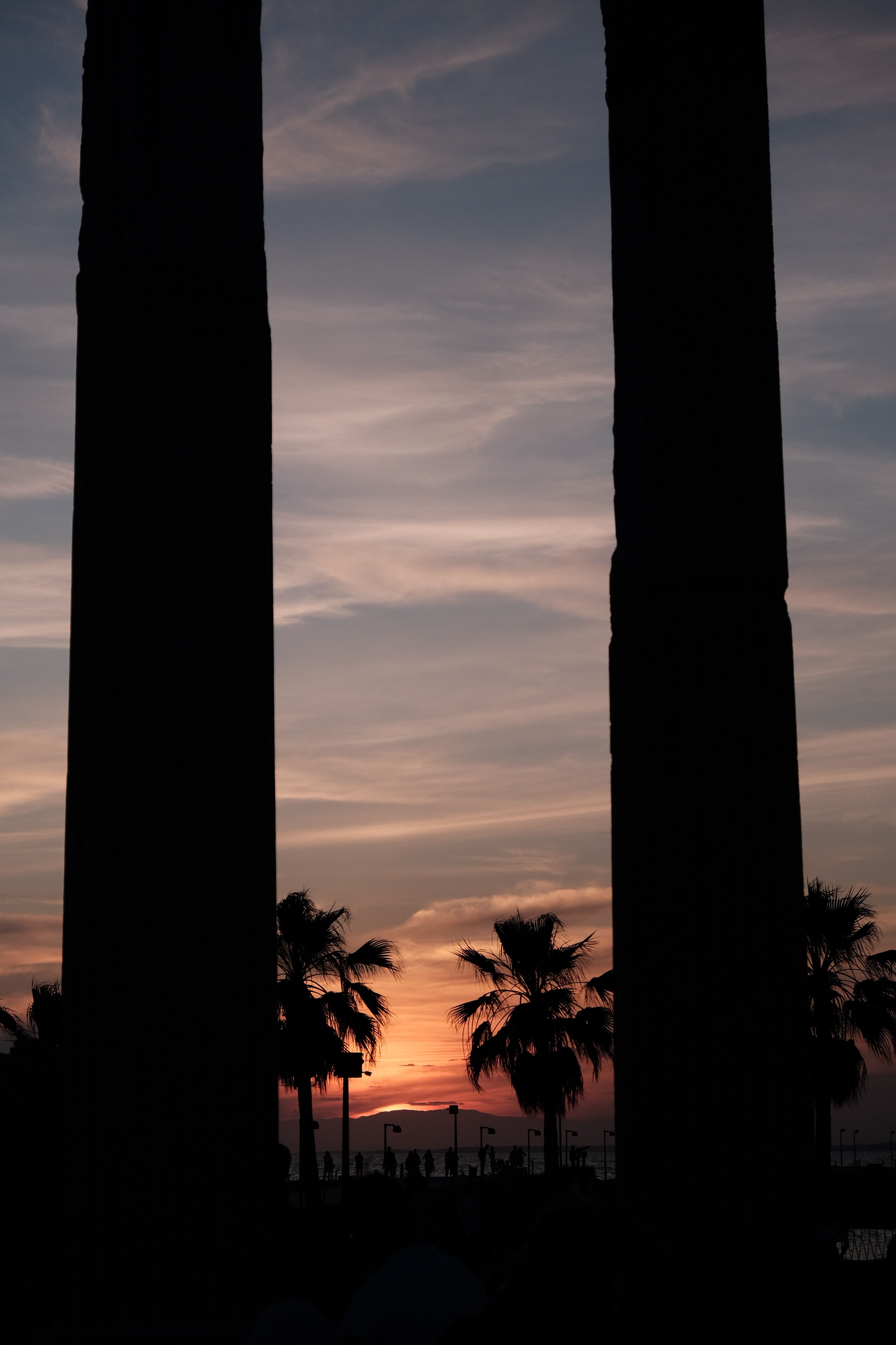 Palm Trees behind Columns at Sunset · Free Stock Photo