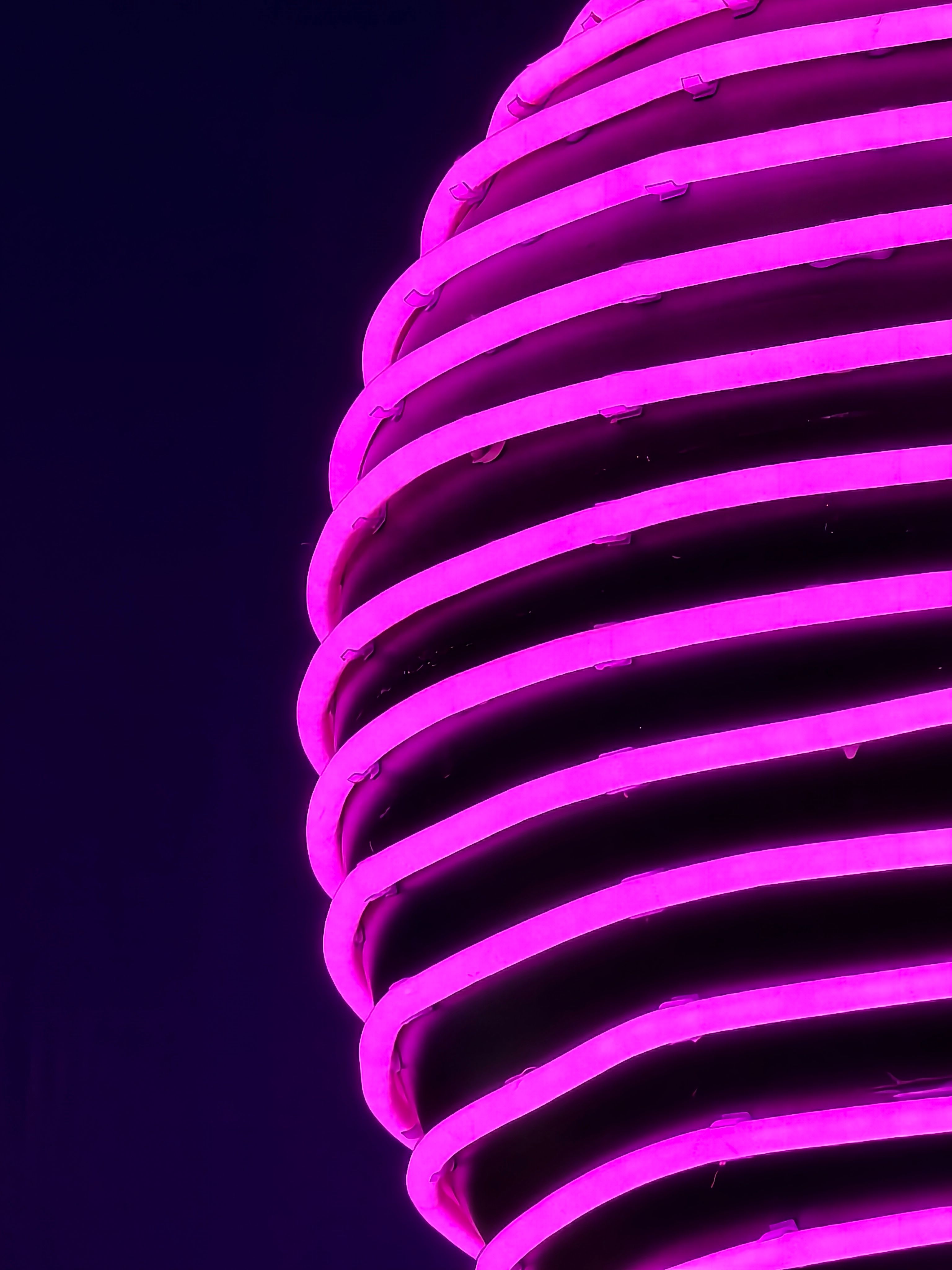 Spinning Purple Neon Lights · Free Stock Photo