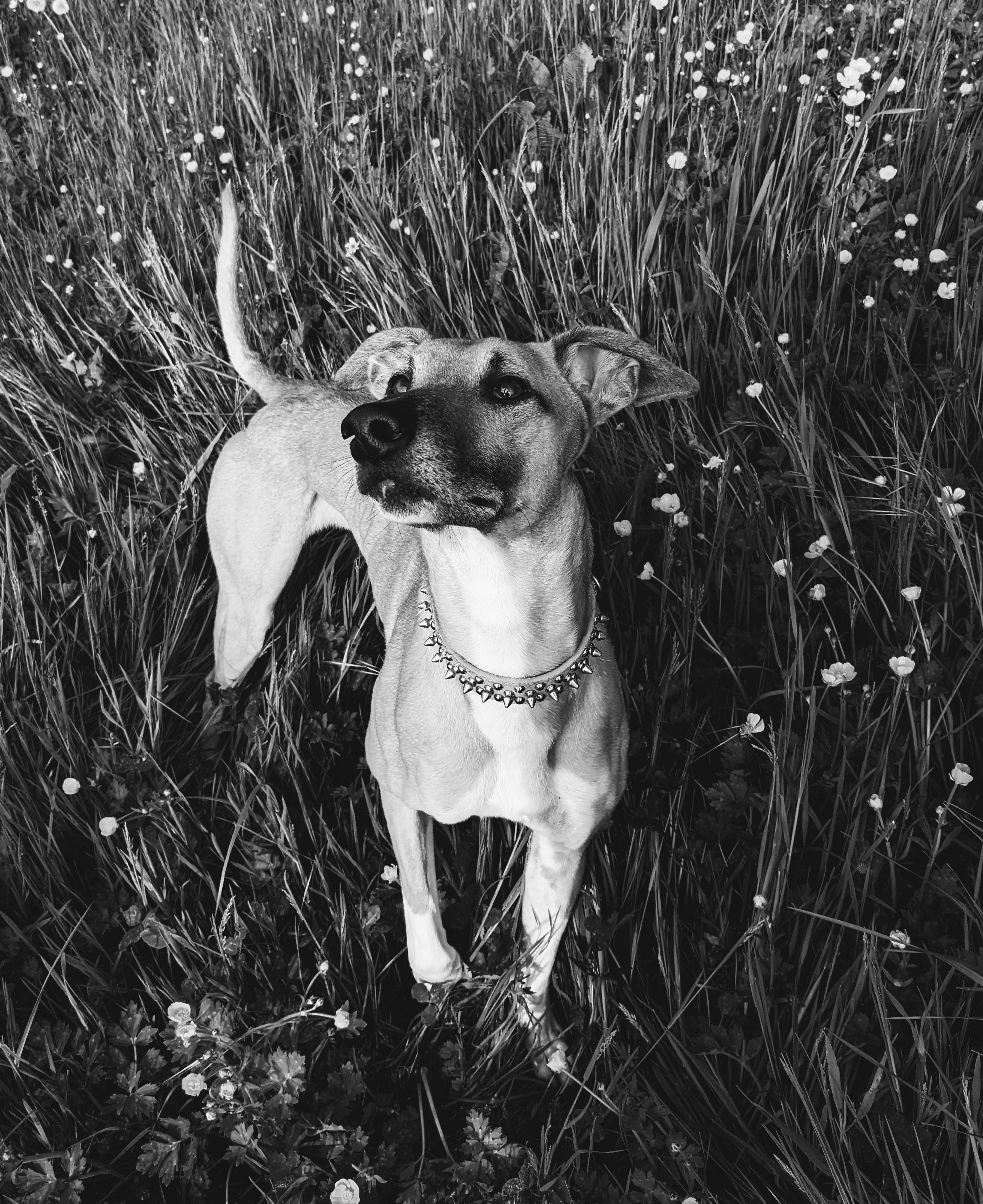 Static Animation Photos, Download The BEST Free Static Animation Stock ...