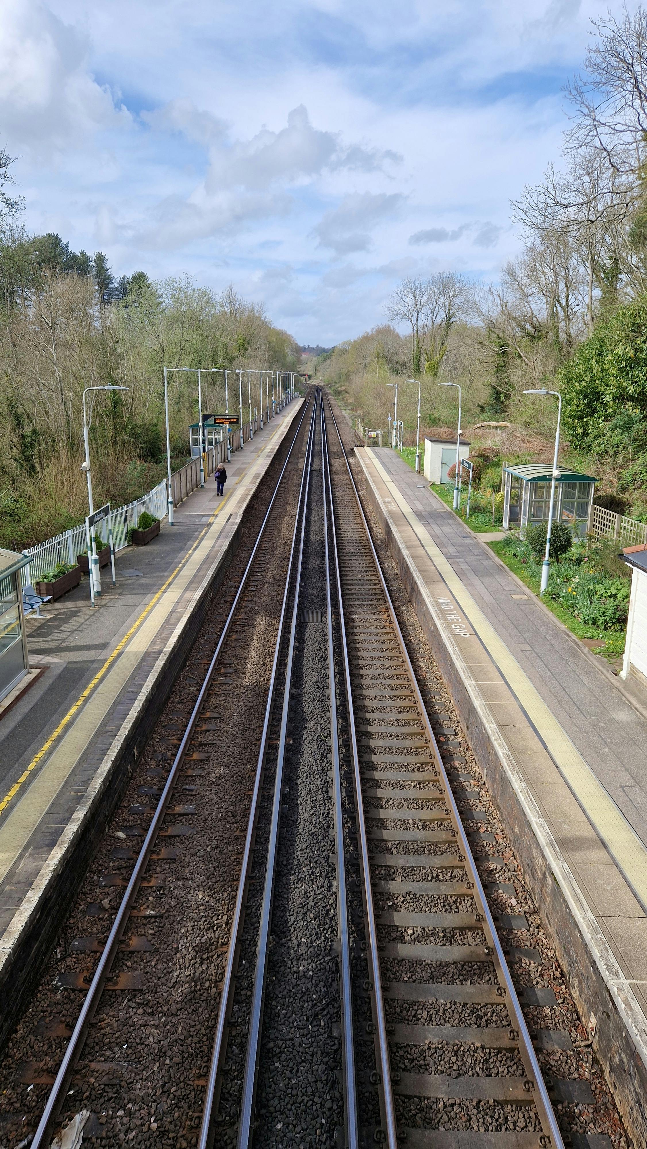 Railway Station in Forest · Free Stock Photo