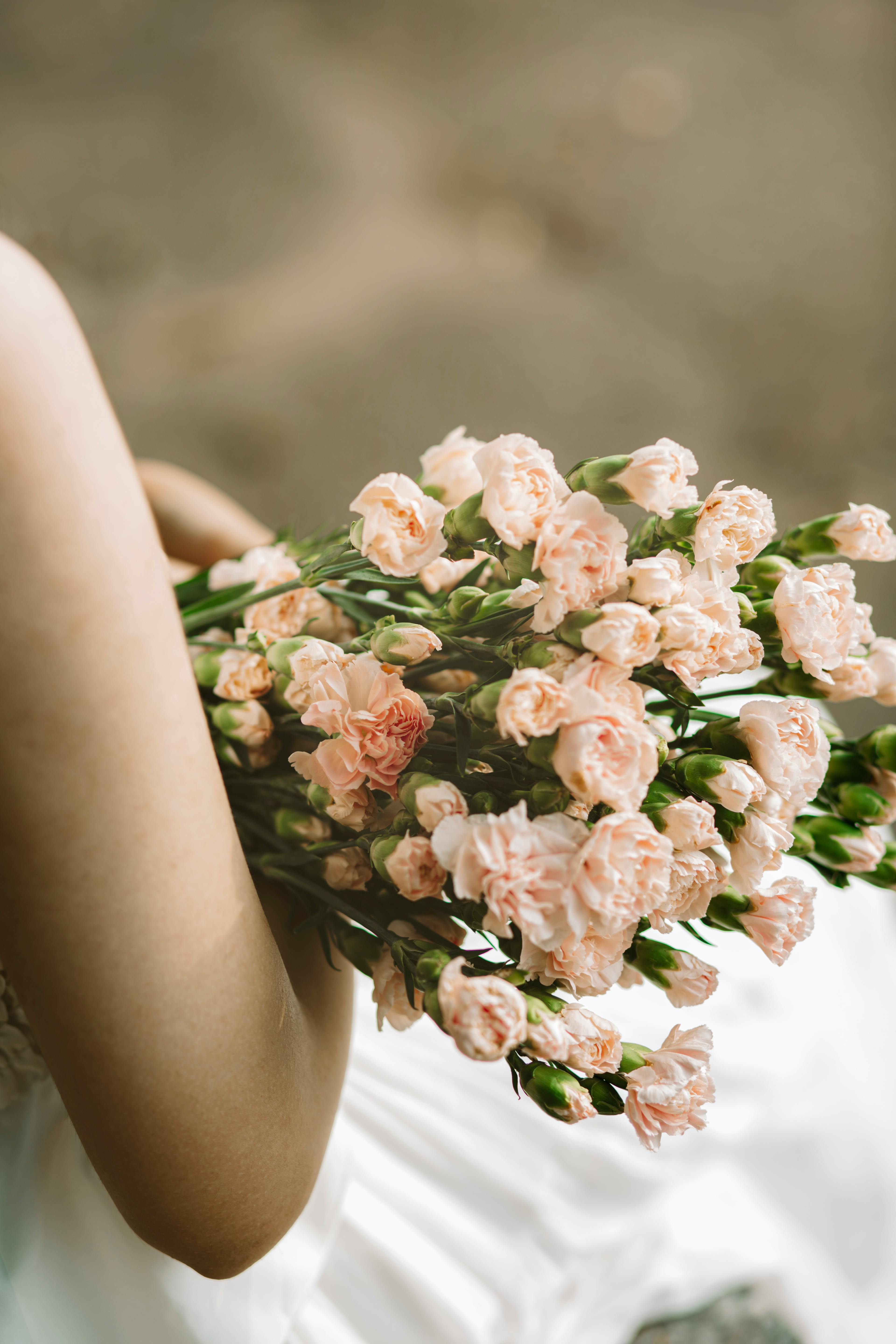 Bride Holding Flowers Bouquet · Free Stock Photo
