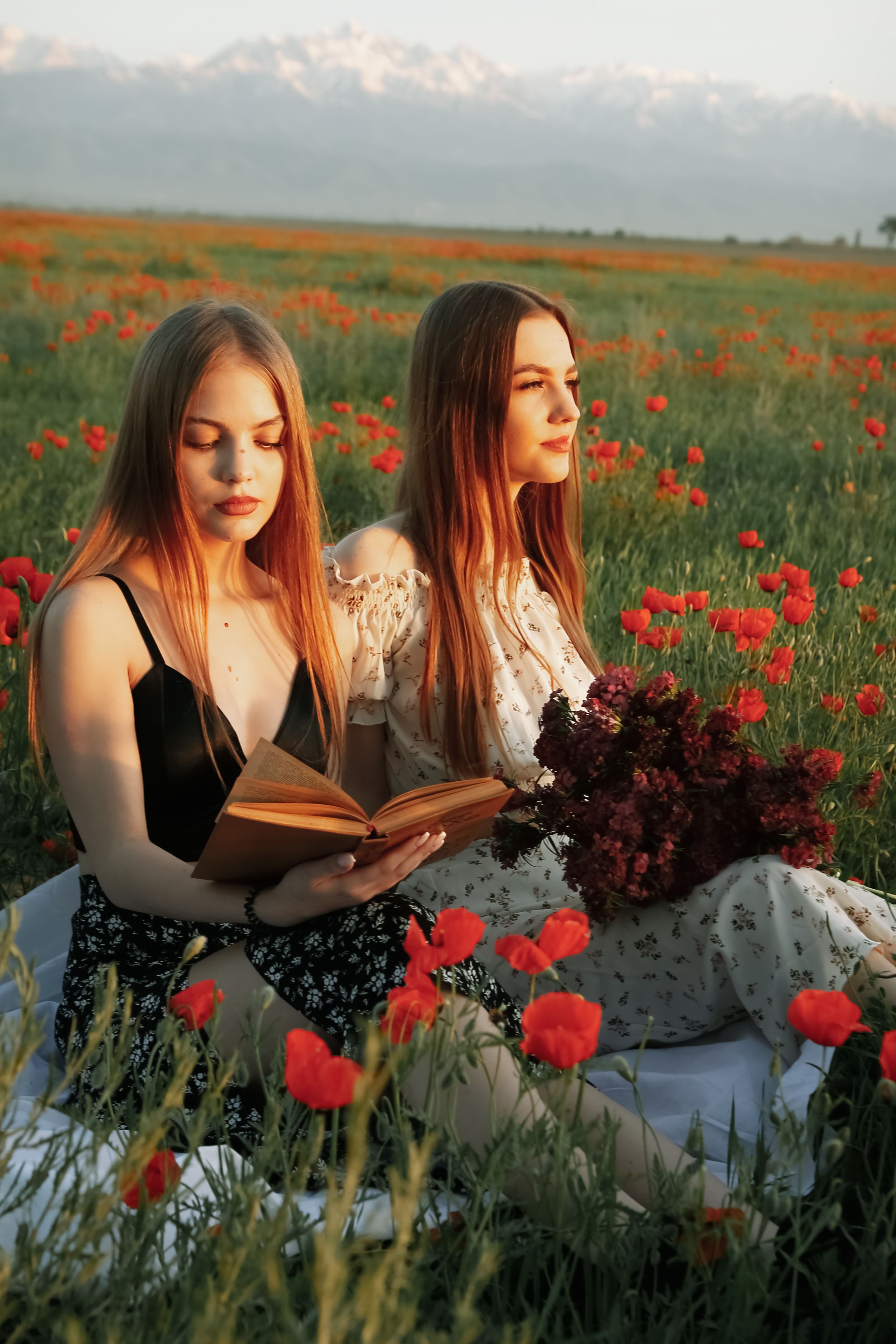 Red Poppies around Women Sitting at Picnic · Free Stock Photo