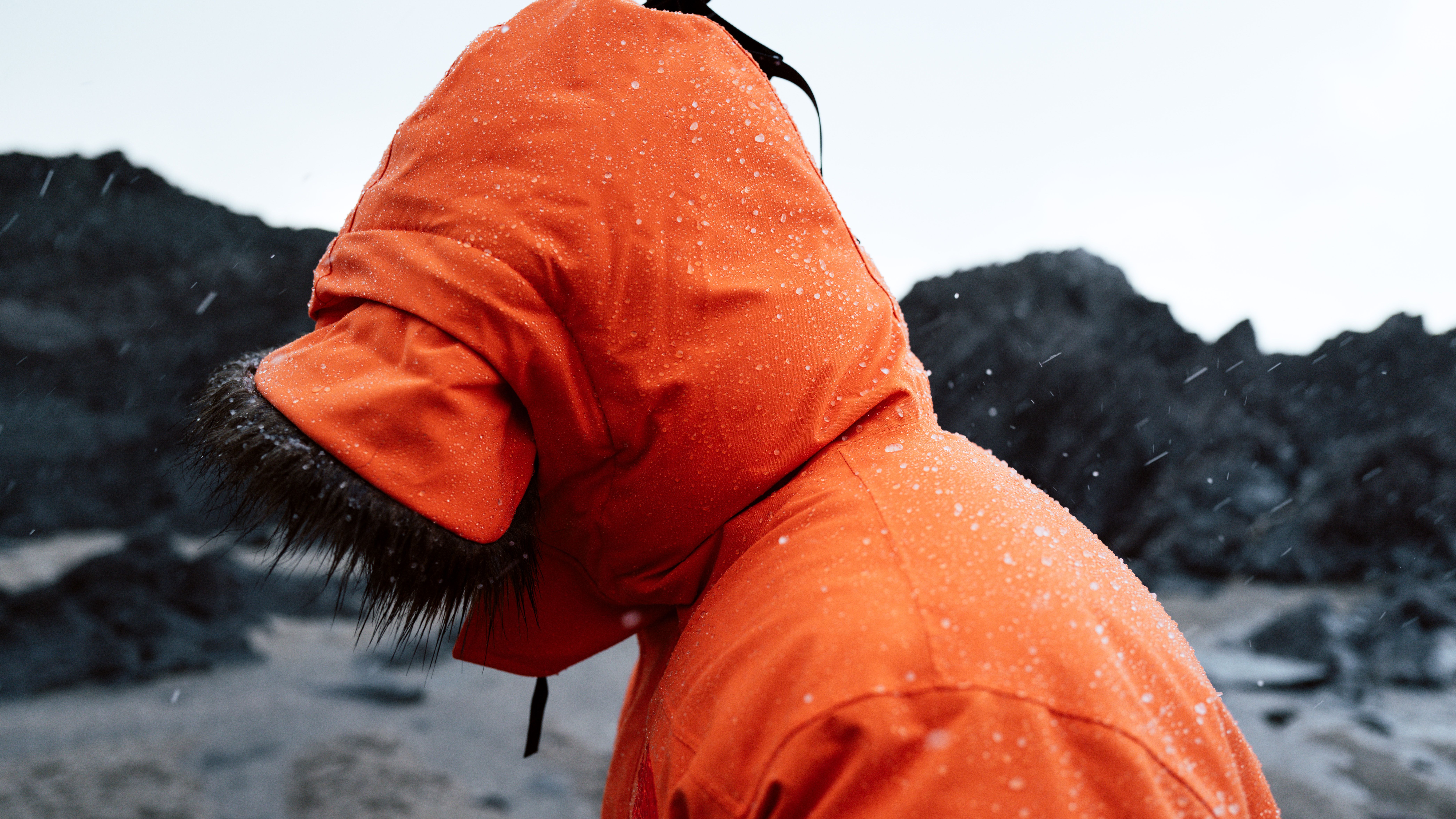 Fighting Against Wind Rain Photos, Download The BEST Free Fighting ...