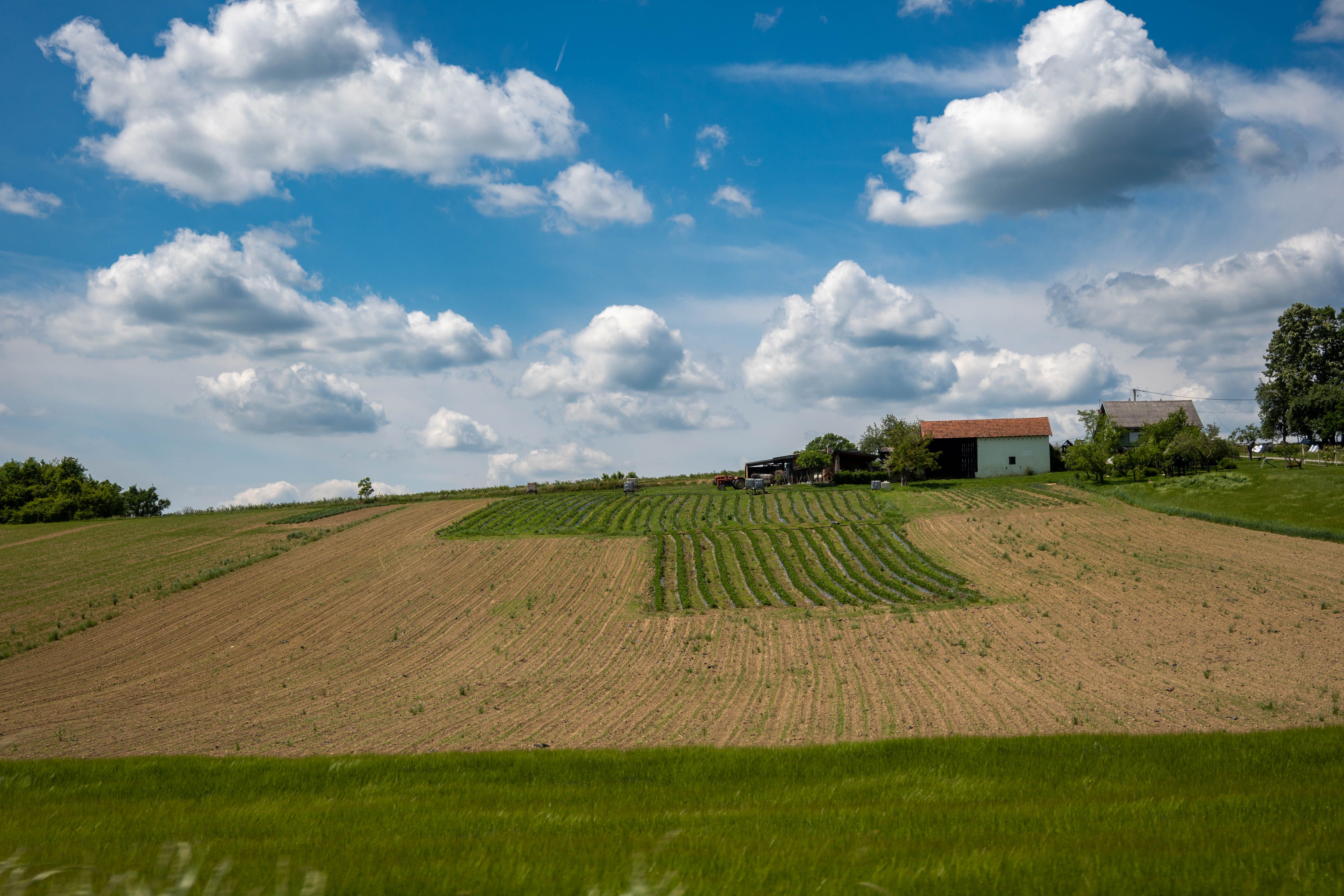 Farm in Summer · Free Stock Photo
