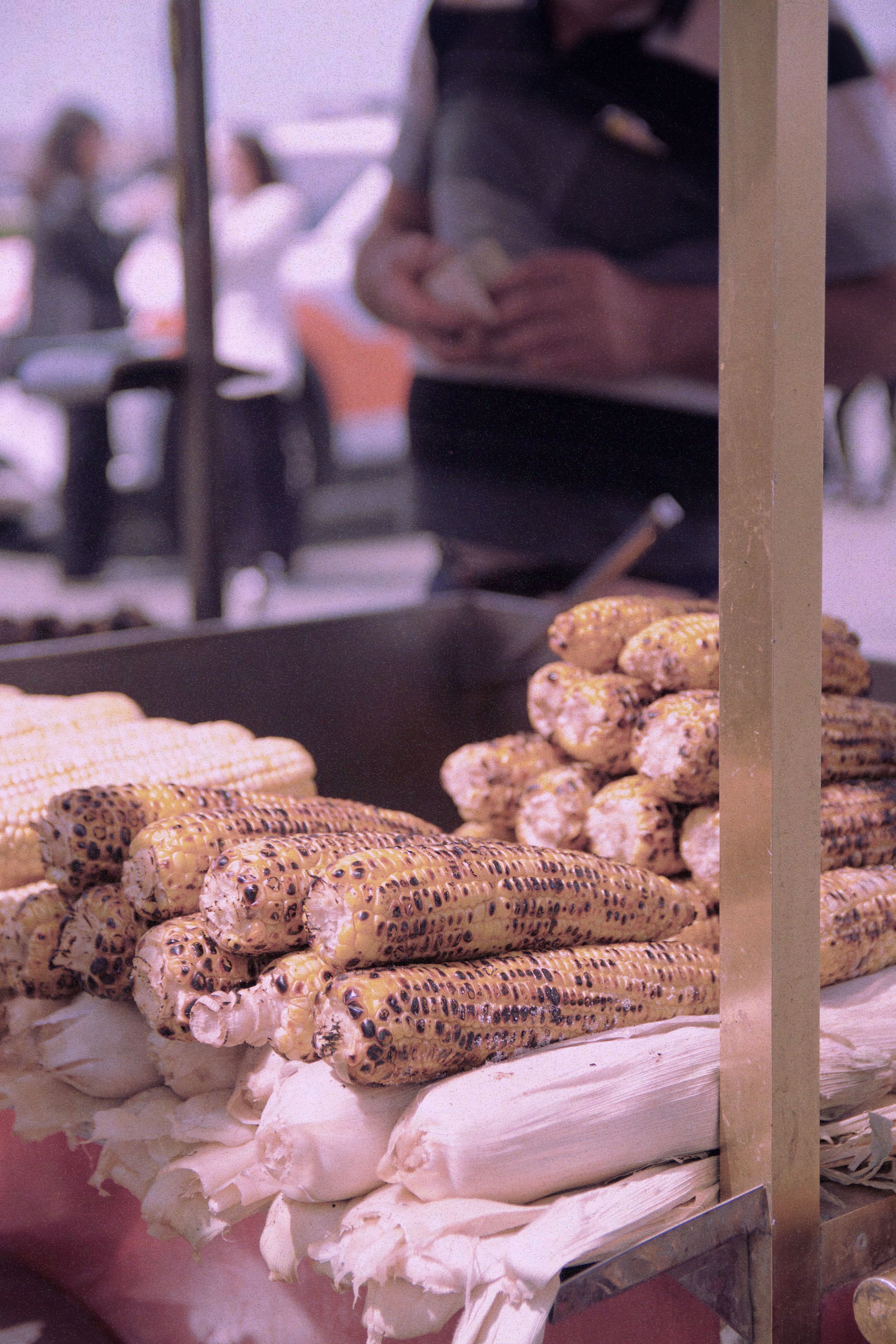 Corn Served on Street Market · Free Stock Photo