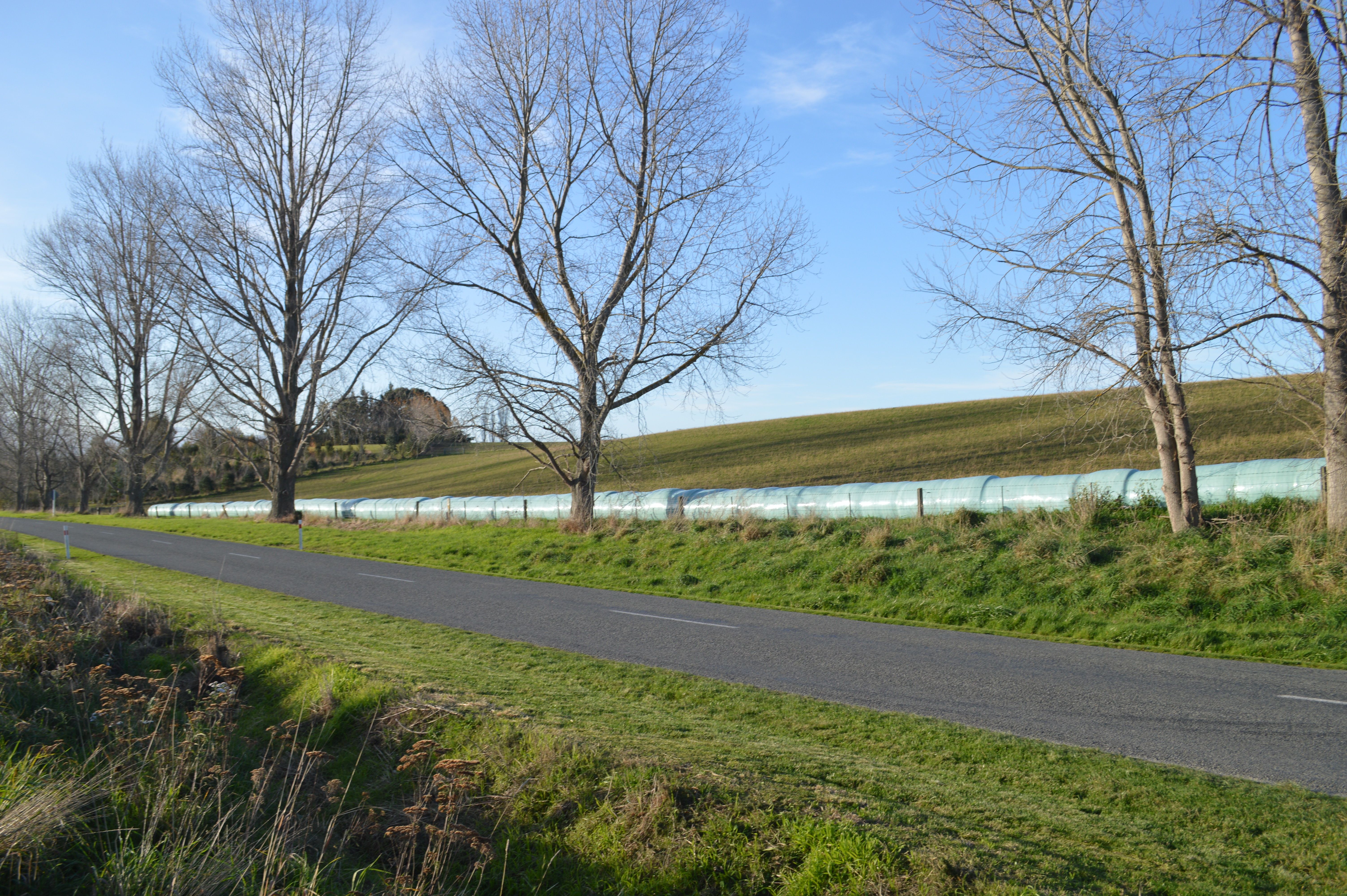 Road in Countryside · Free Stock Photo
