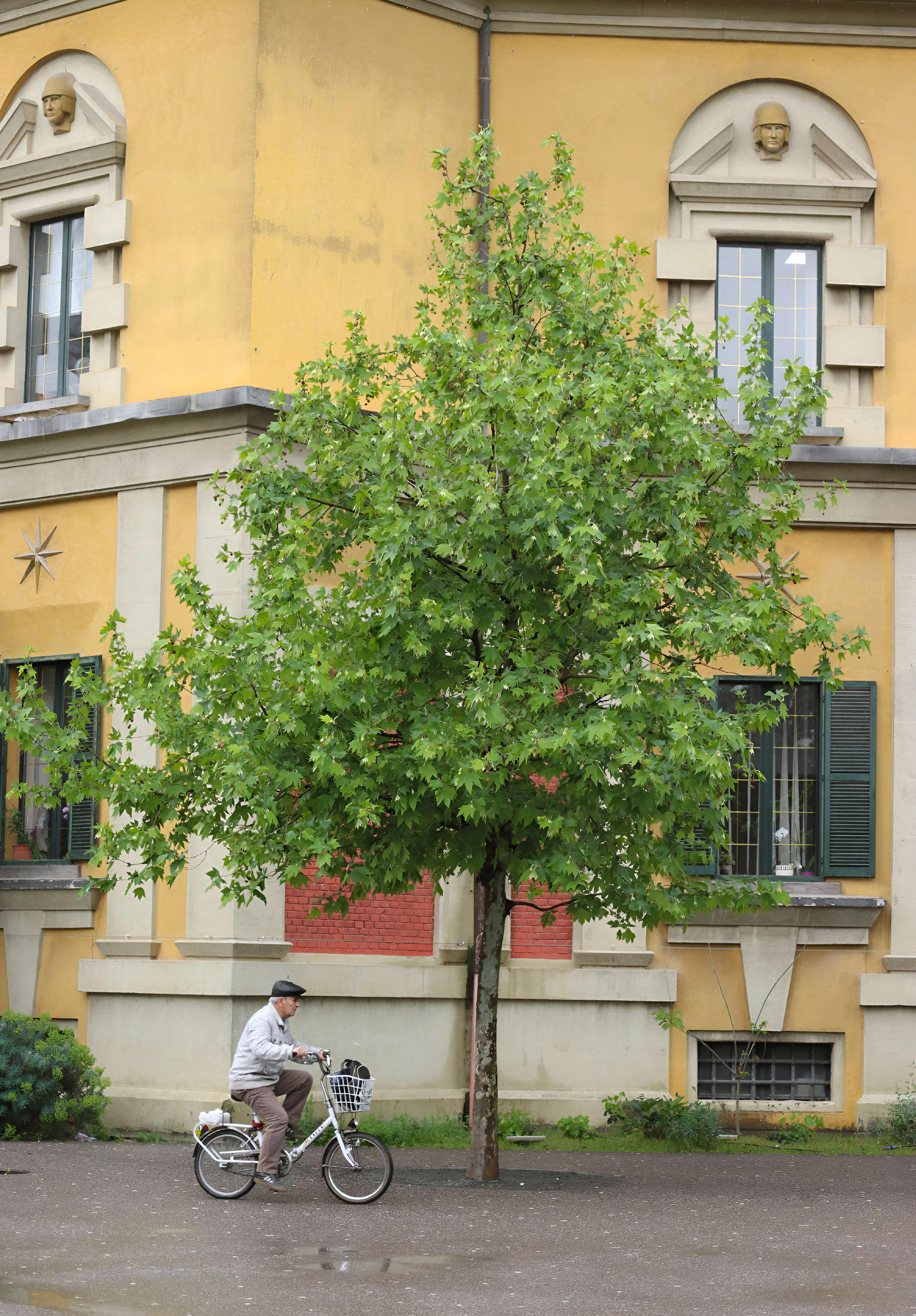 An Elderly Man Riding a Bicycle near a Building in a City · Free Stock ...