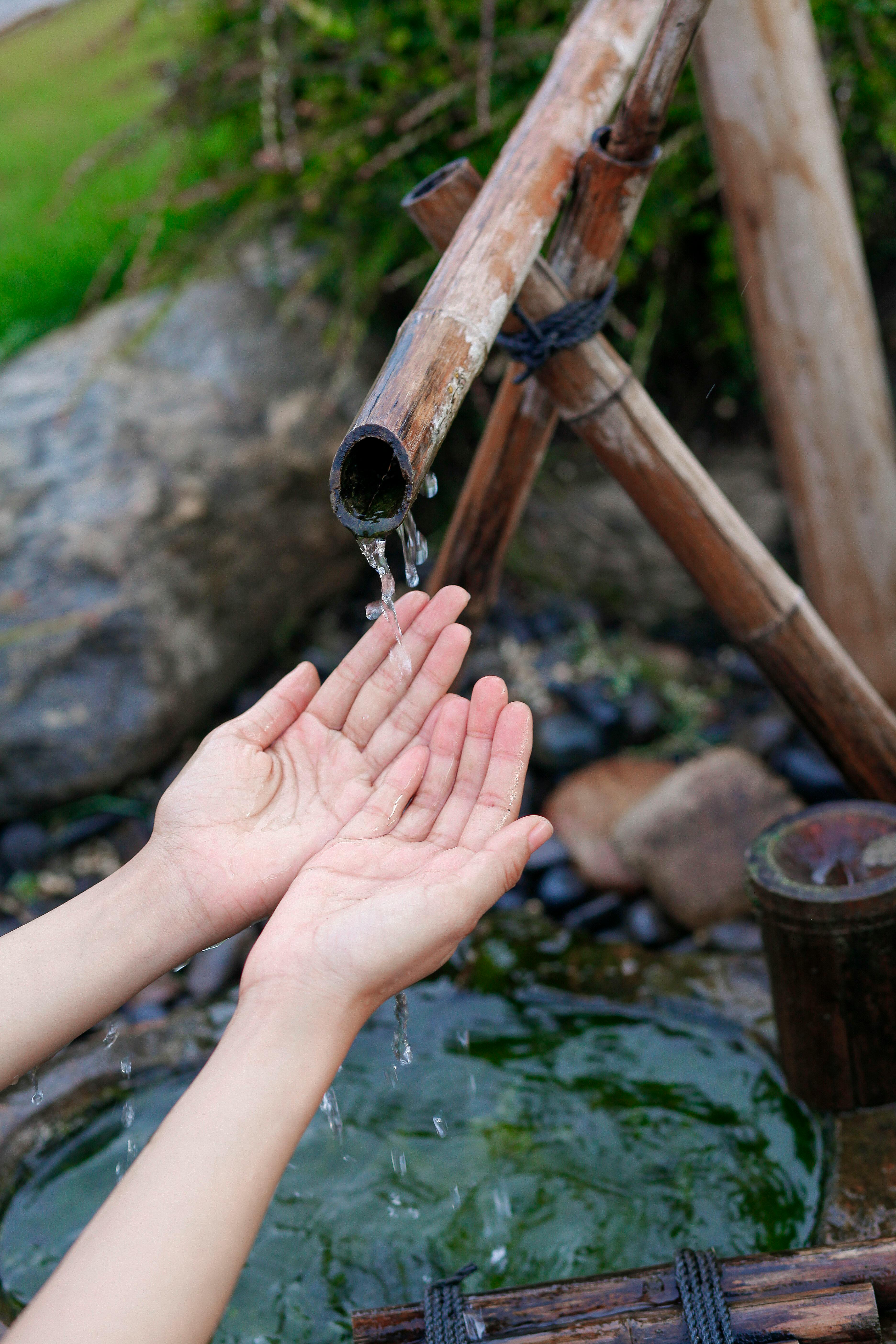 Close-up of a Person Washing Hands under a Bamboo Tap · Free Stock Photo