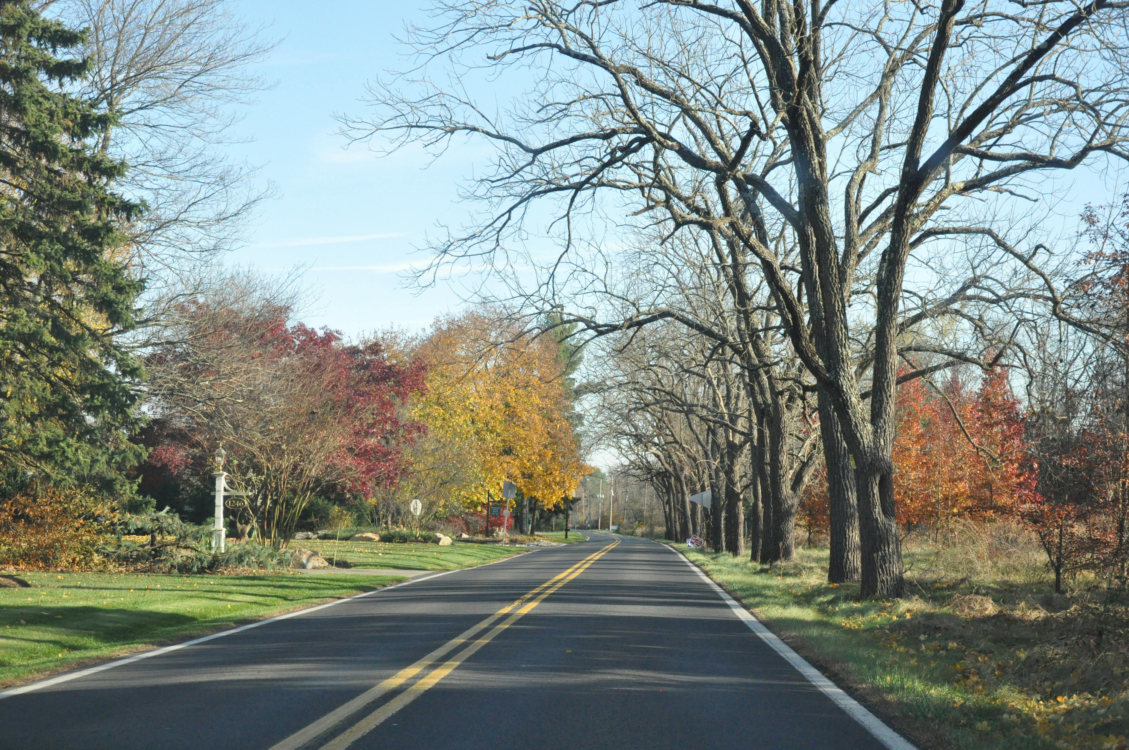 Free stock photo of america, divider, road