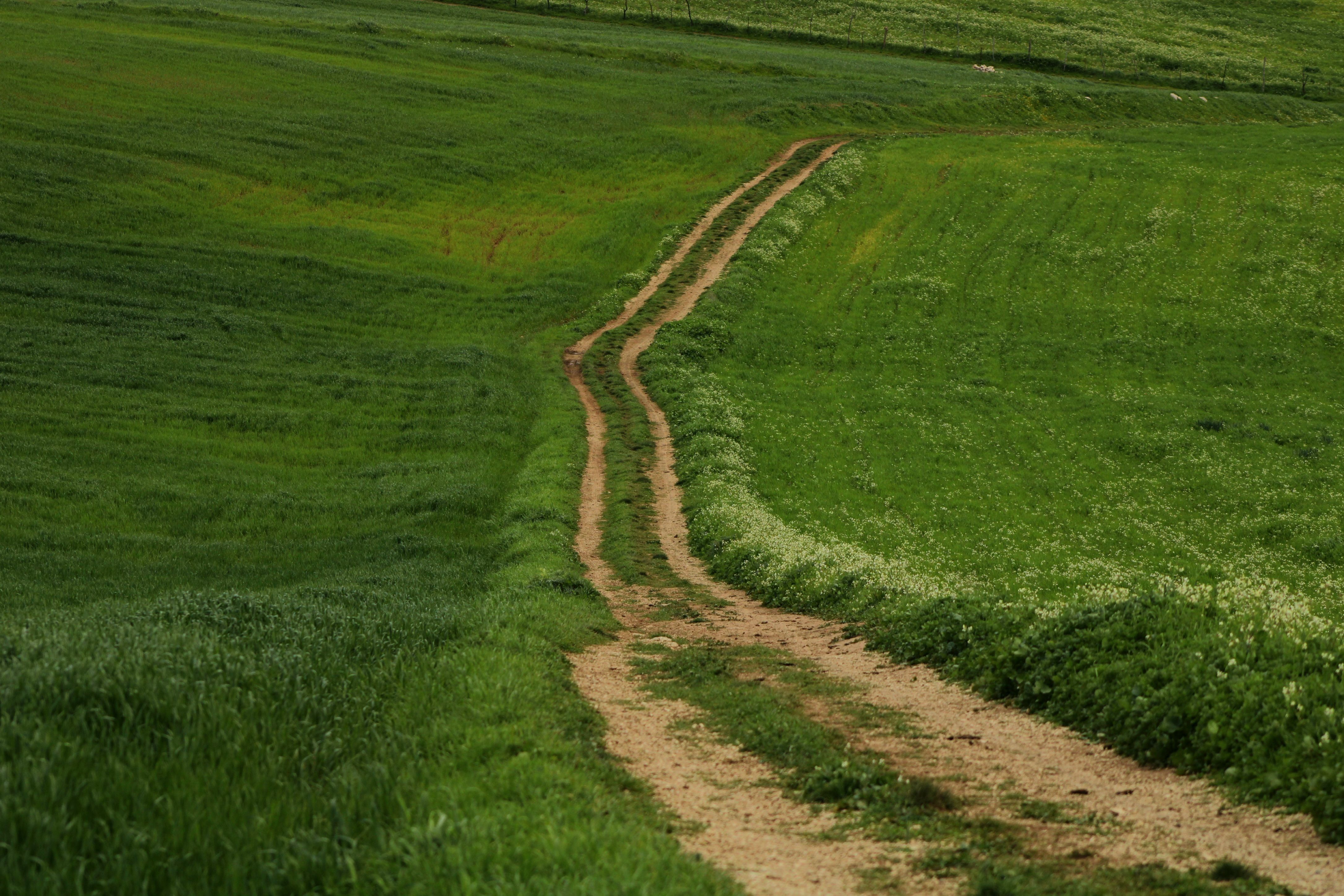 Dirt Road in Countryside · Free Stock Photo