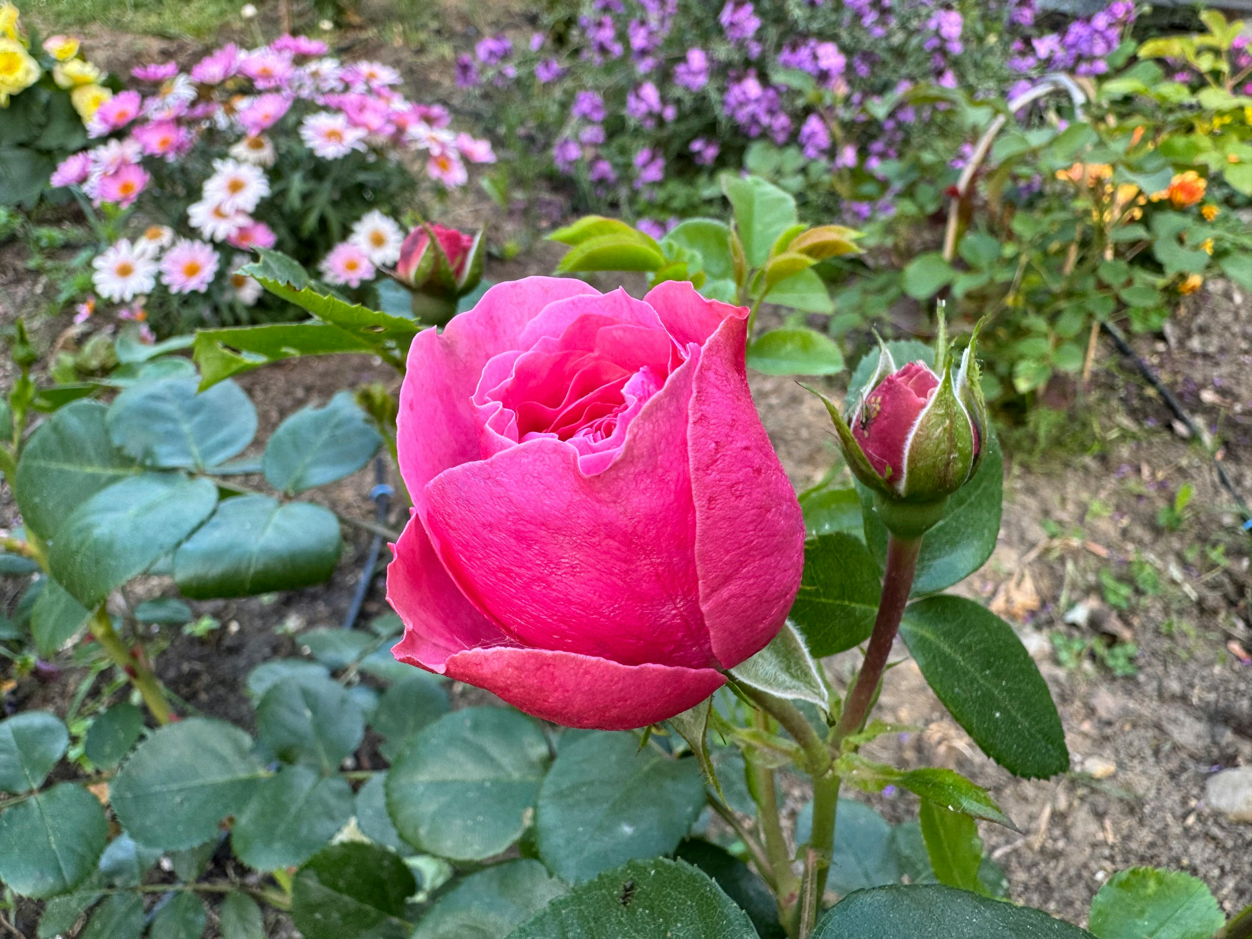 Marc K - Photography