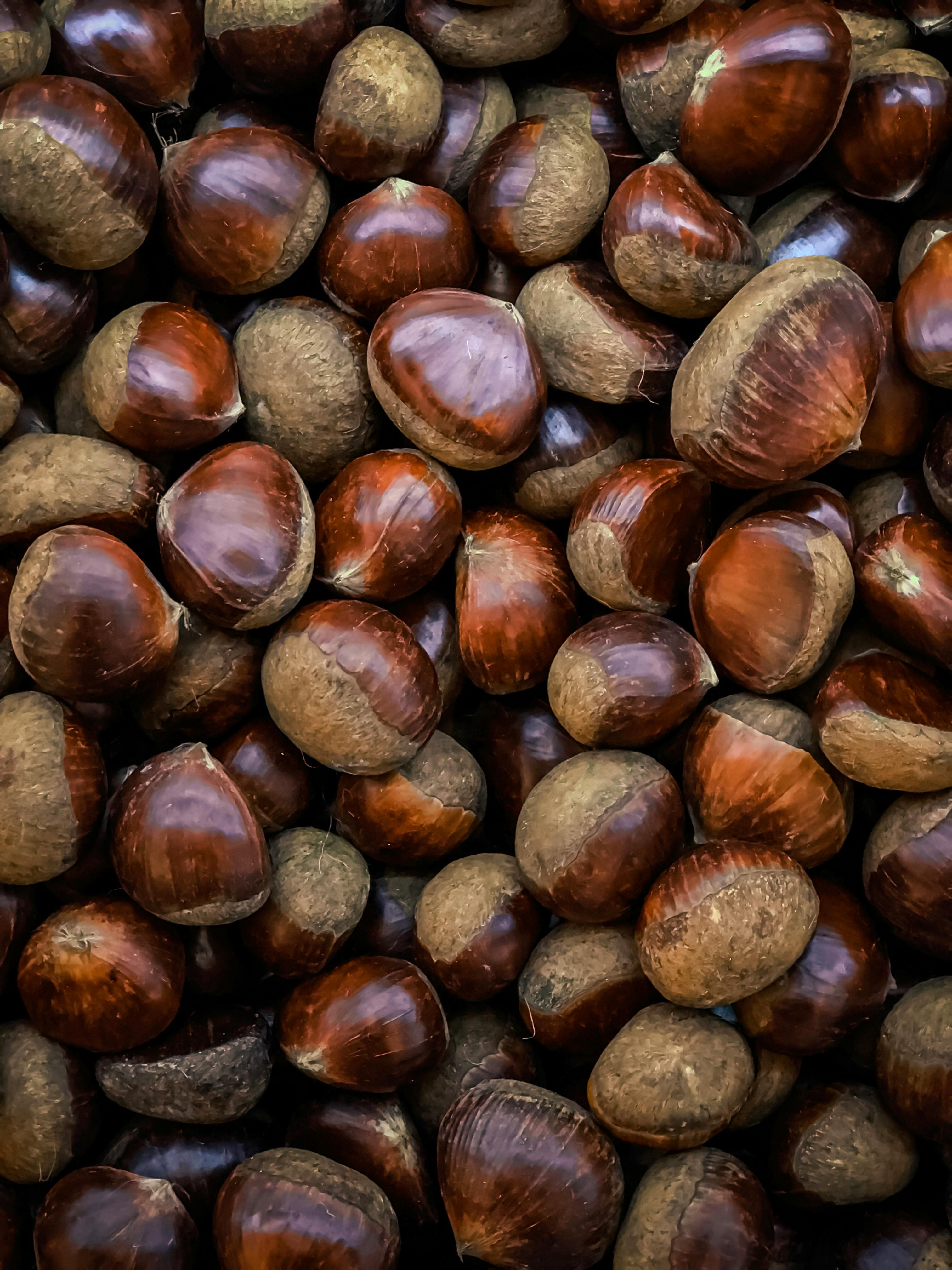 Stack of Chestnuts · Free Stock Photo