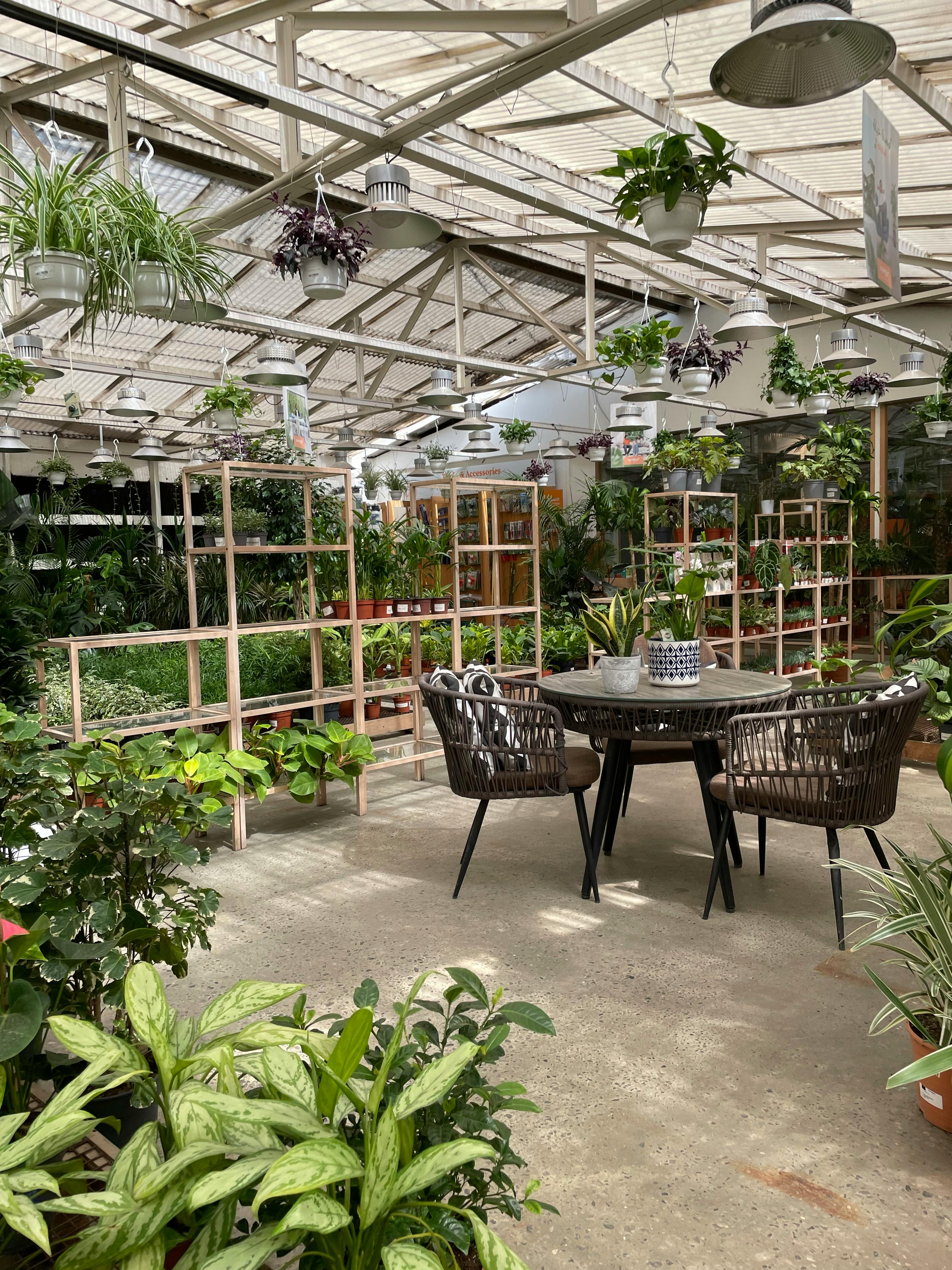 Photography of Table And Chairs Near Plants · Free Stock Photo