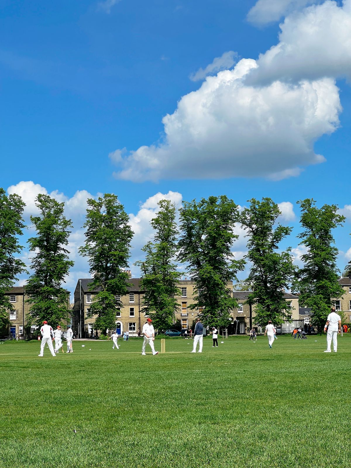 Cricket Match Photos, Download The BEST Free Cricket Match Stock Photos ...