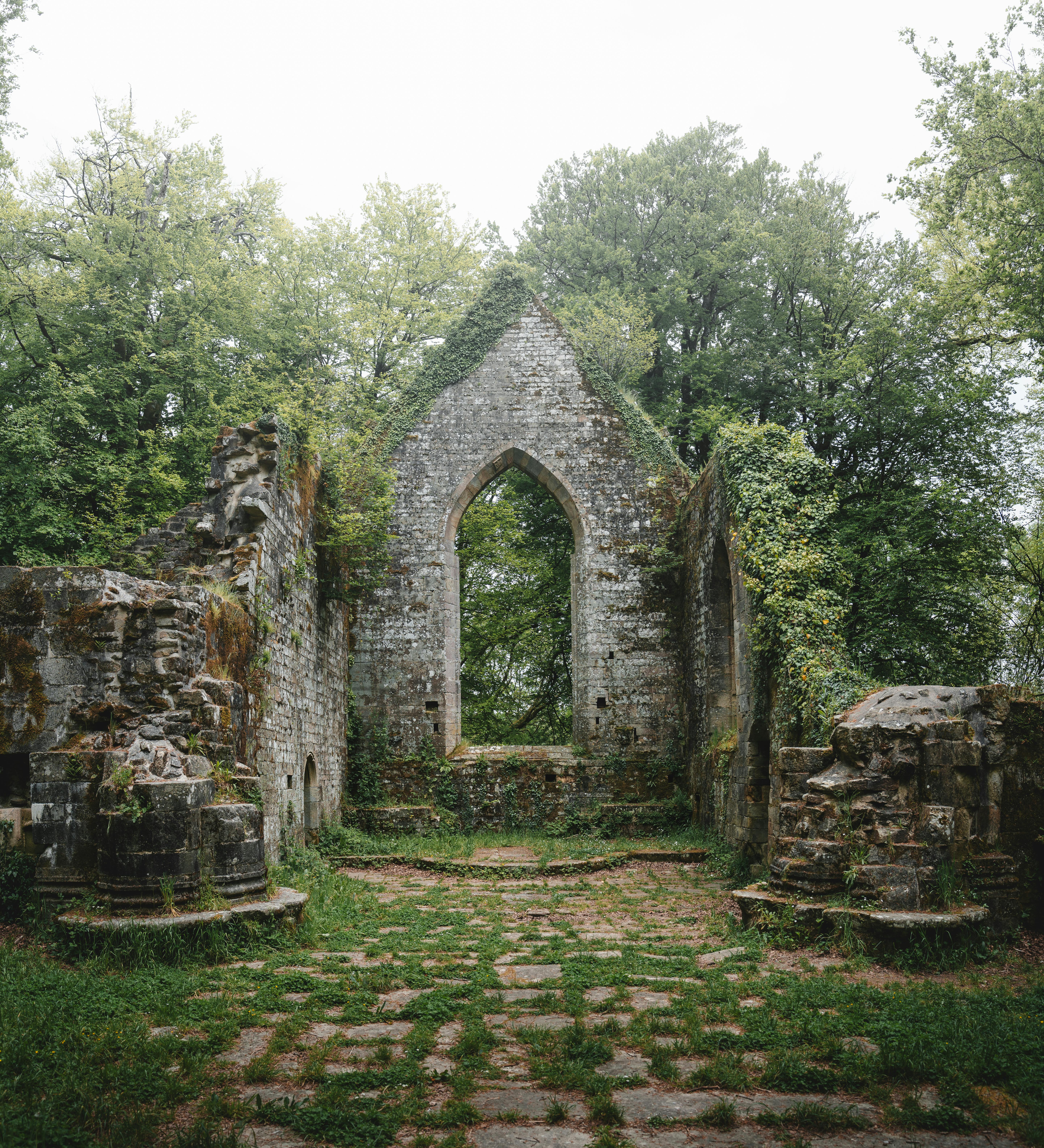 Abandoned Ruins in Forest · Free Stock Photo
