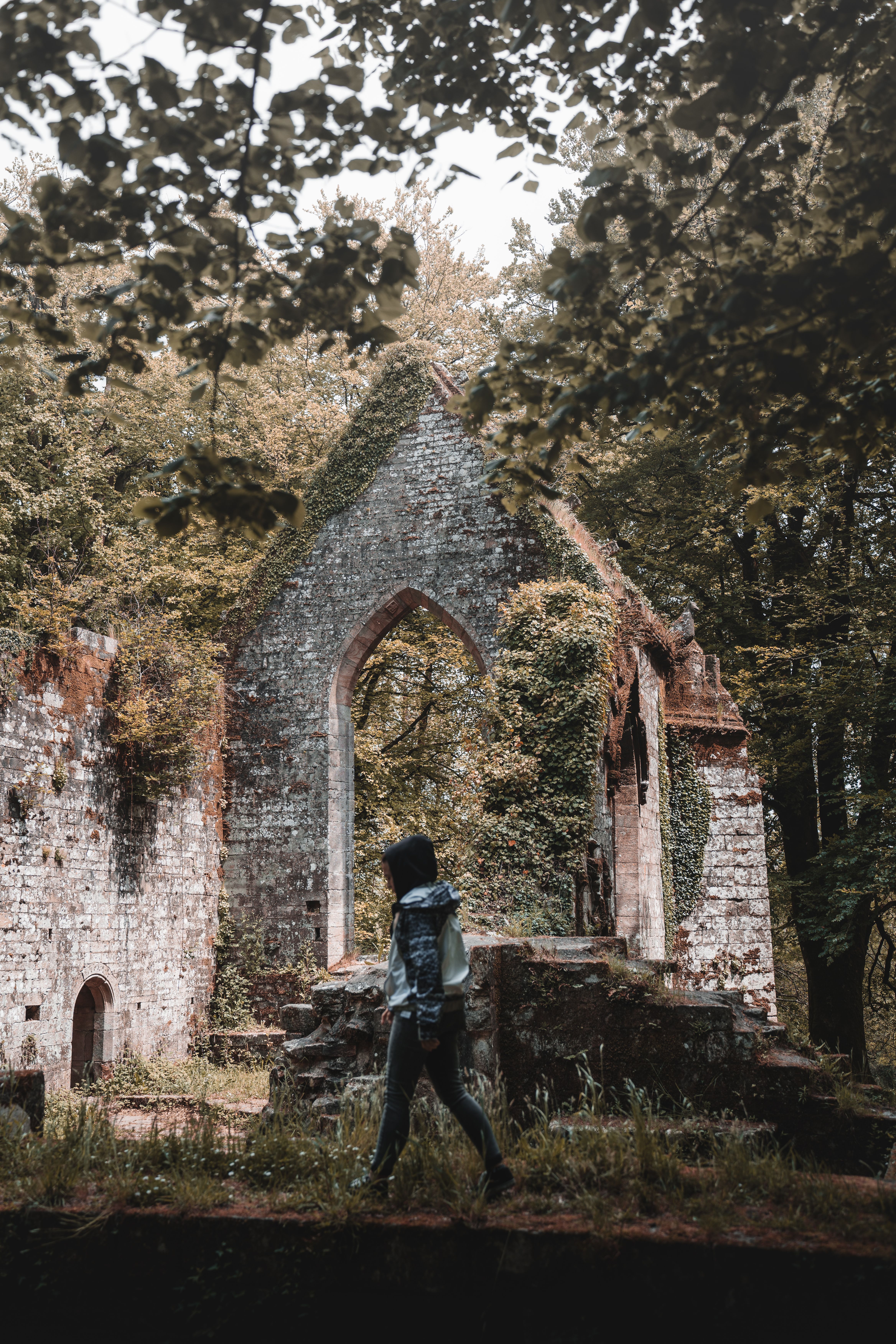 Men Walking Outside · Free Stock Photo