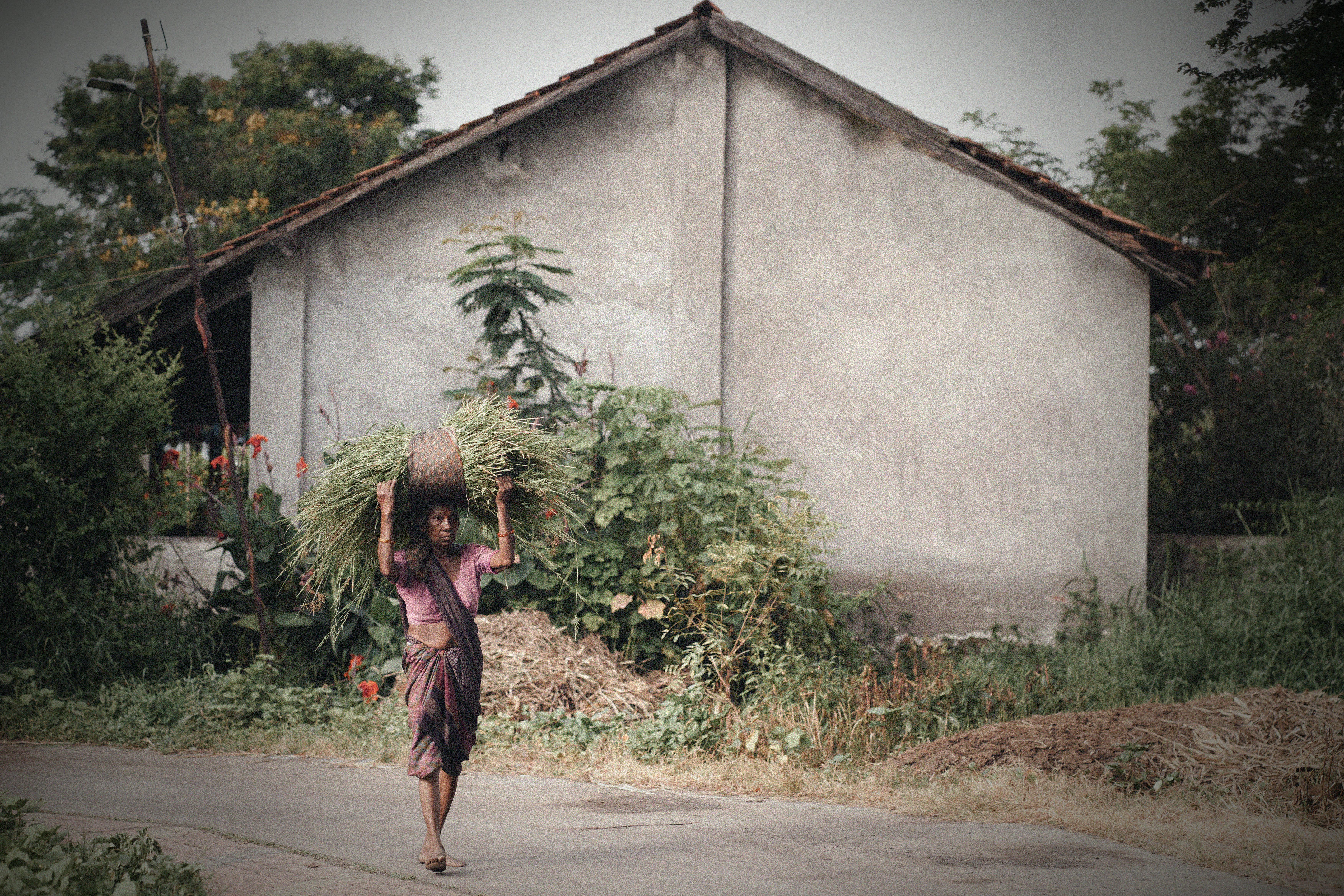 Camerawala Pandit - Photography