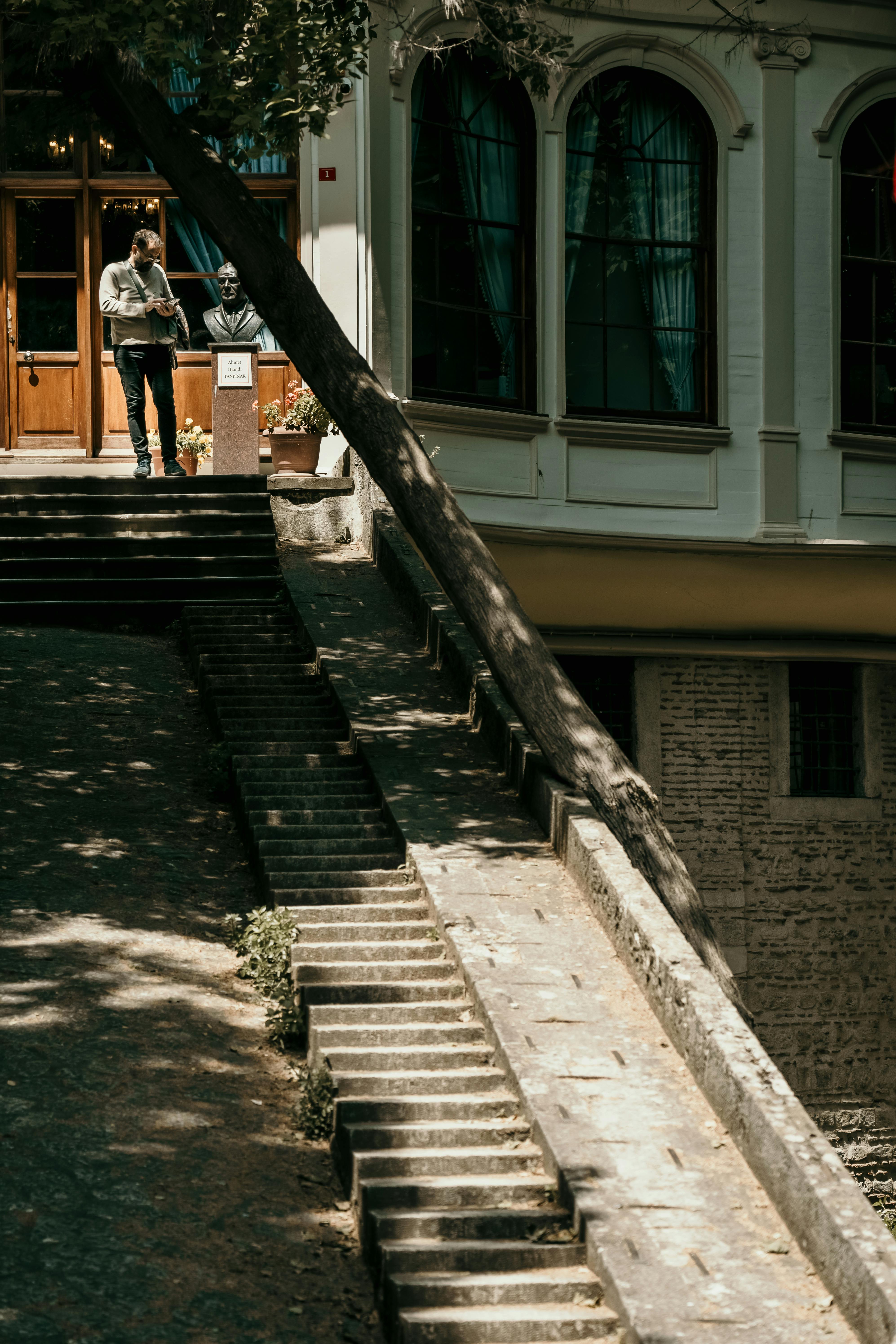 Tree near Building · Free Stock Photo