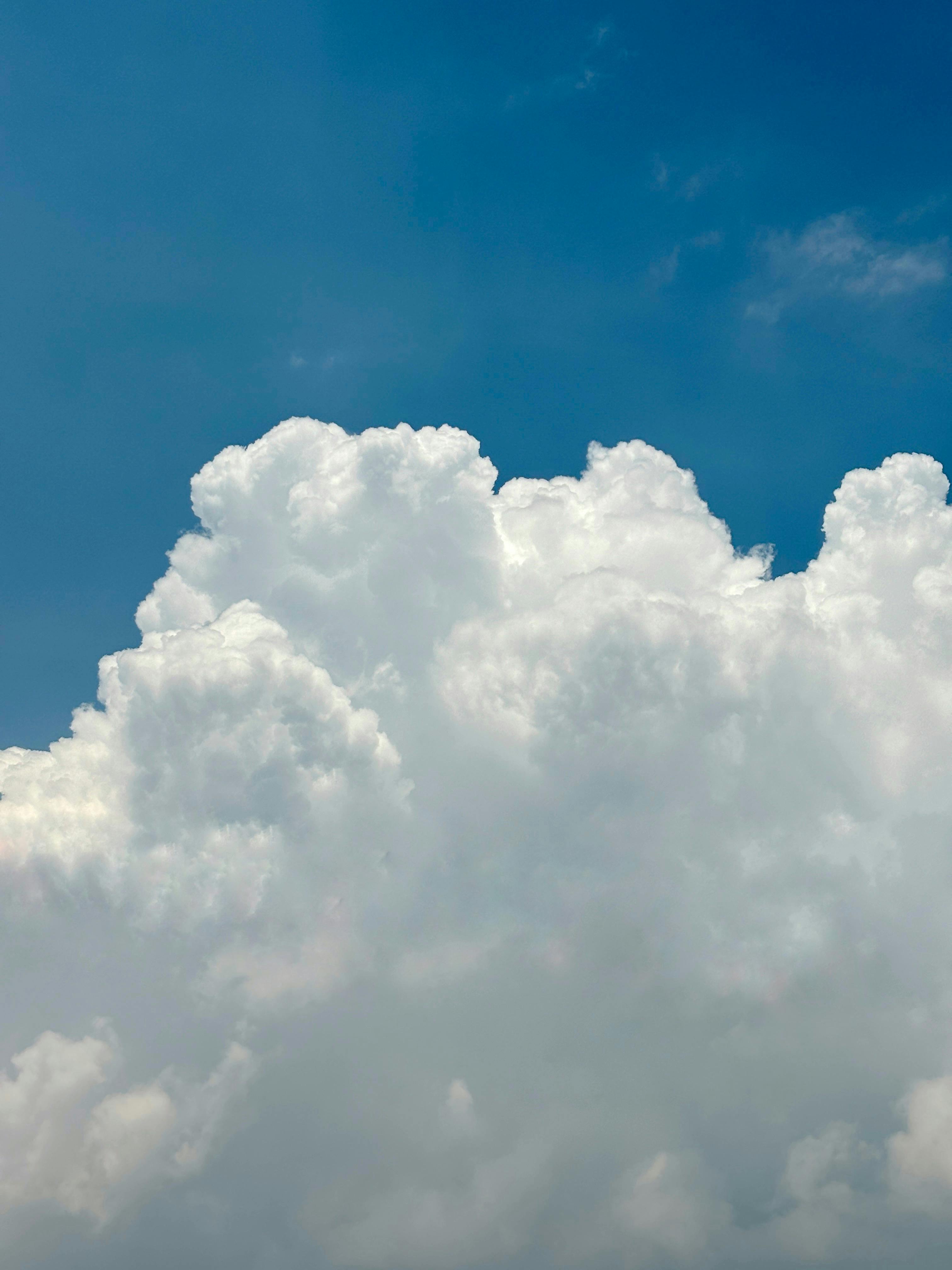 Foto de stock gratuita sobre @al aire libre, aire, aireado, al aire ...