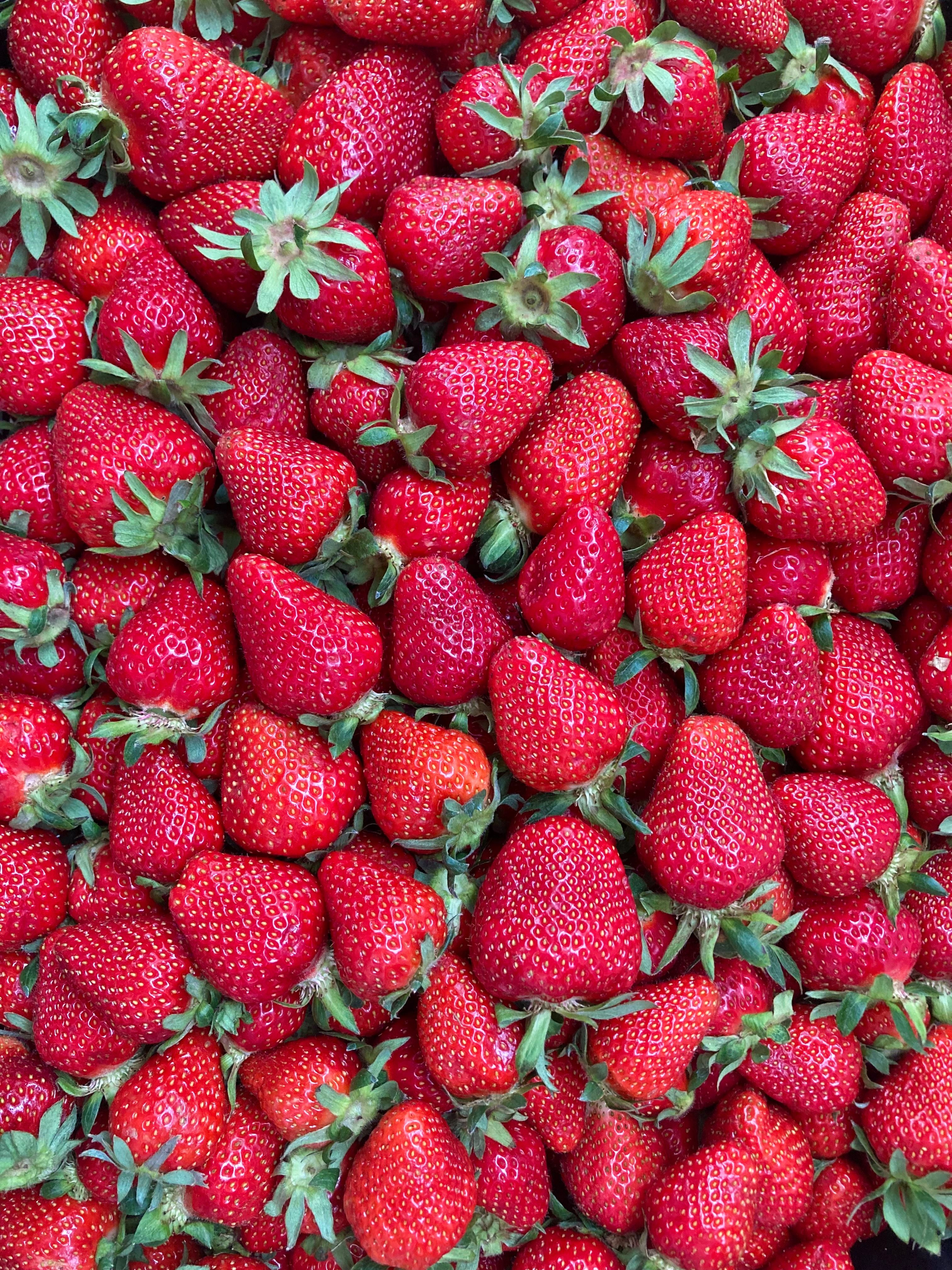 Close up of Strawberries · Free Stock Photo