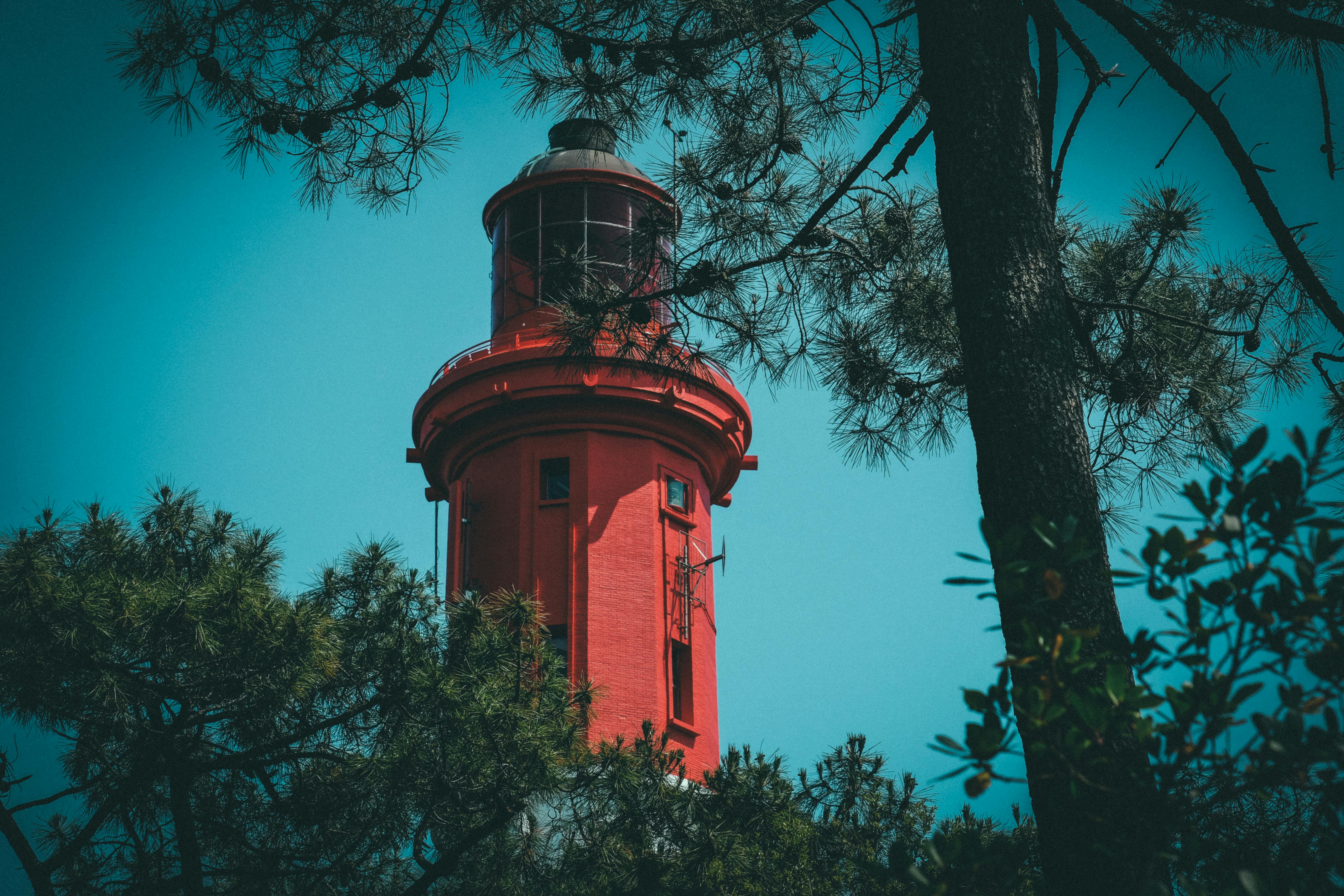 Lighthouse Near Trees · Free Stock Photo