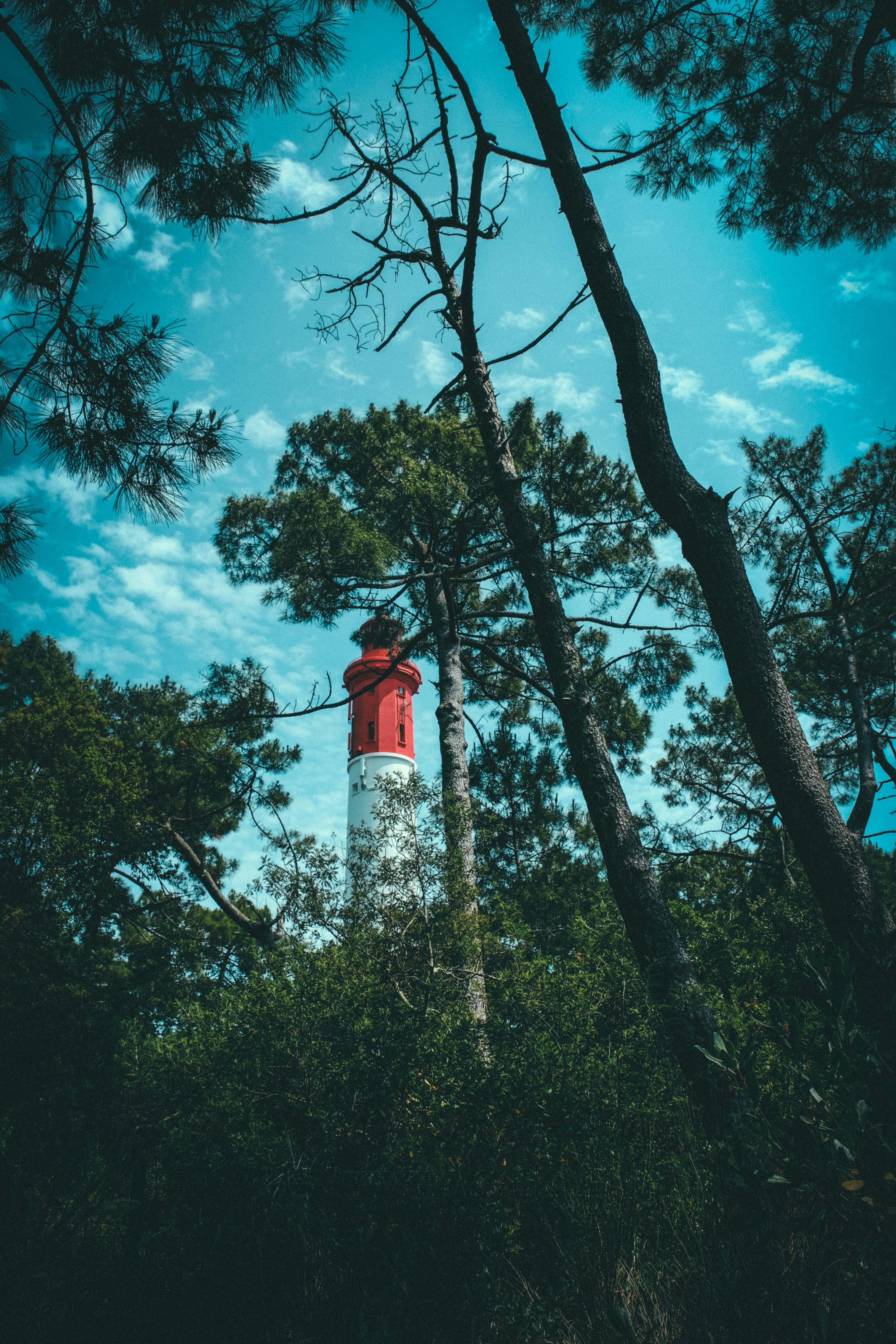 Lighthouse Near Trees · Free Stock Photo