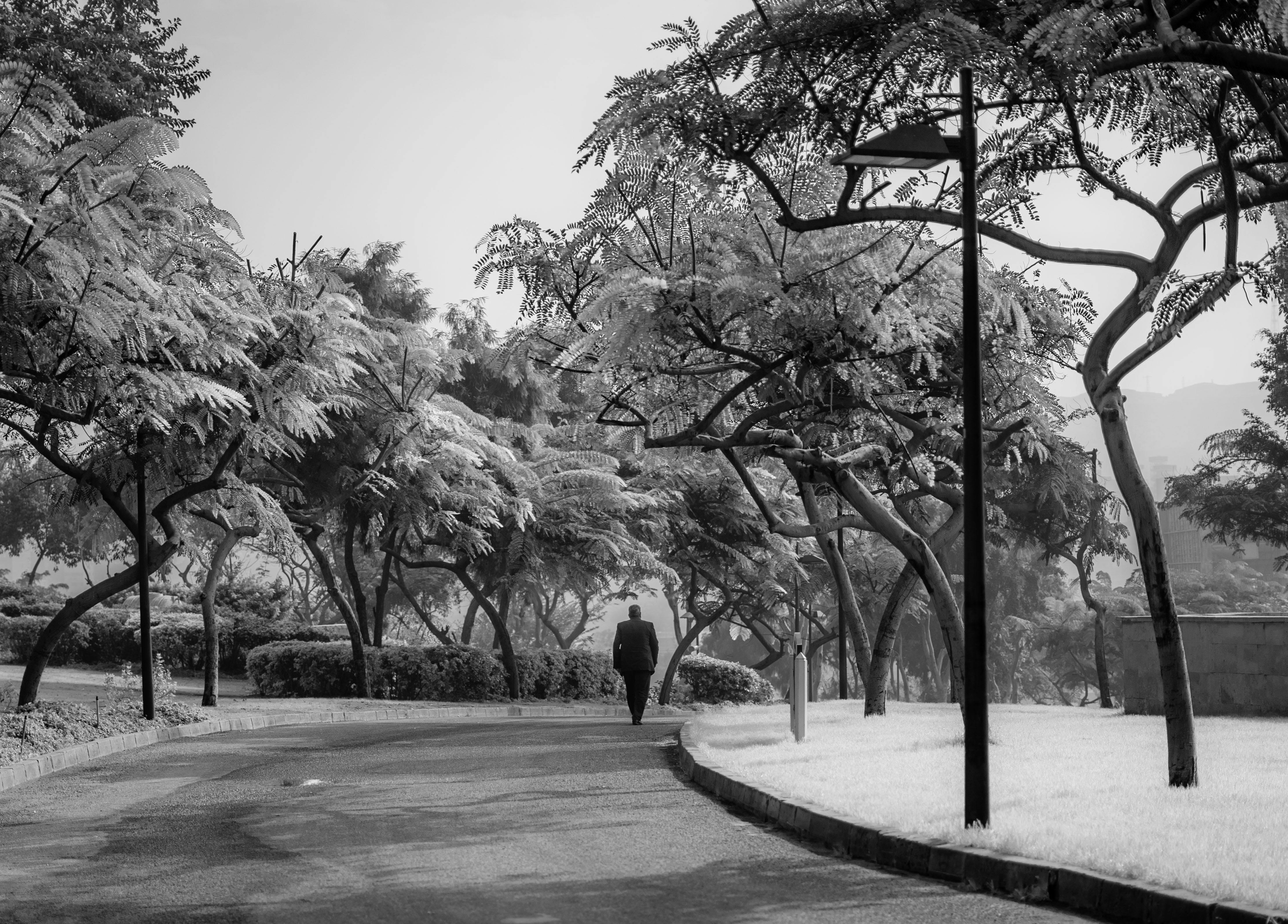 Chibili Mugala - 摄影