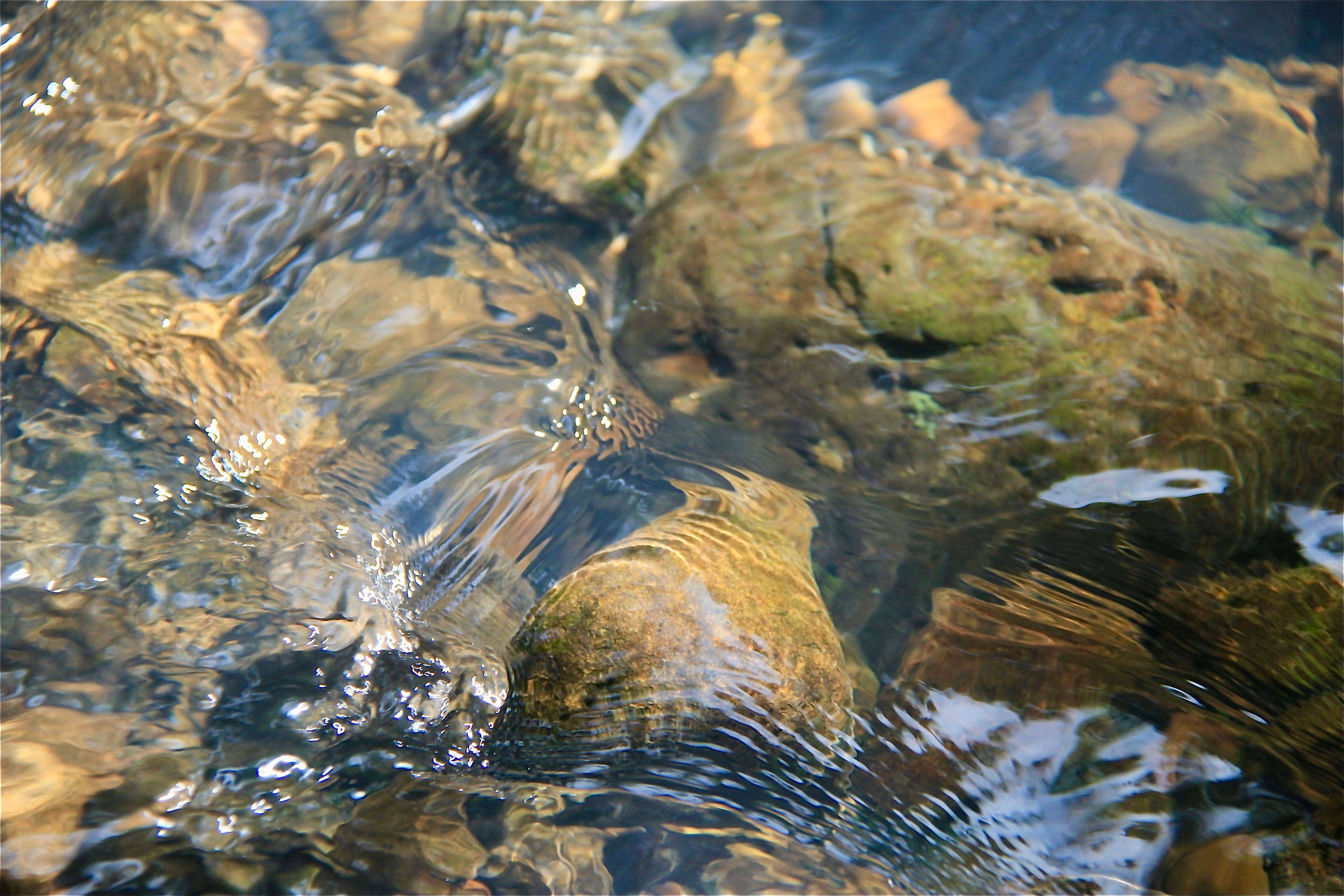A close up of rocks and water in a stream · Free Stock Photo