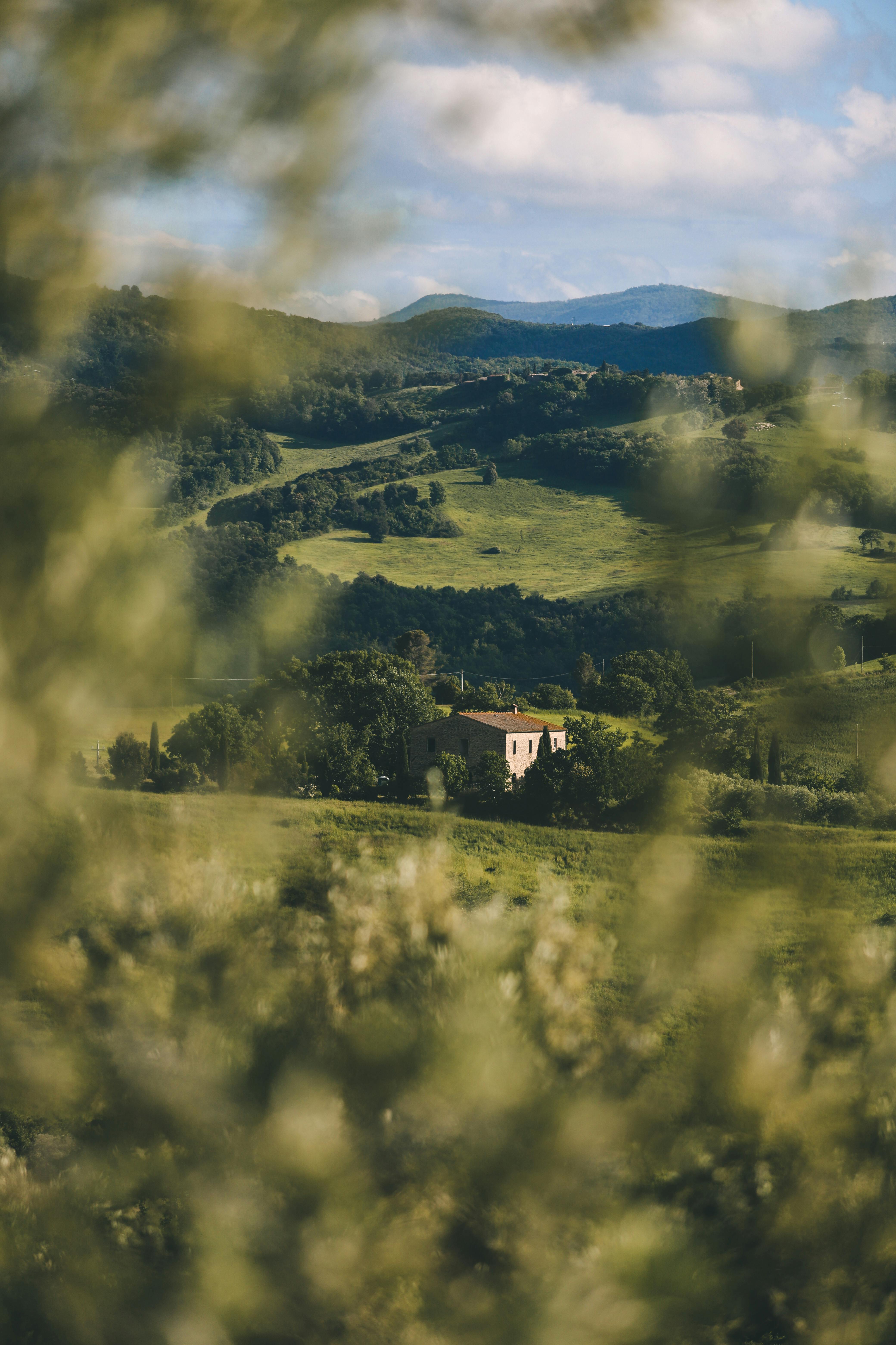 Foto profissional gratuita de agricultura, ao ar livre, área ...