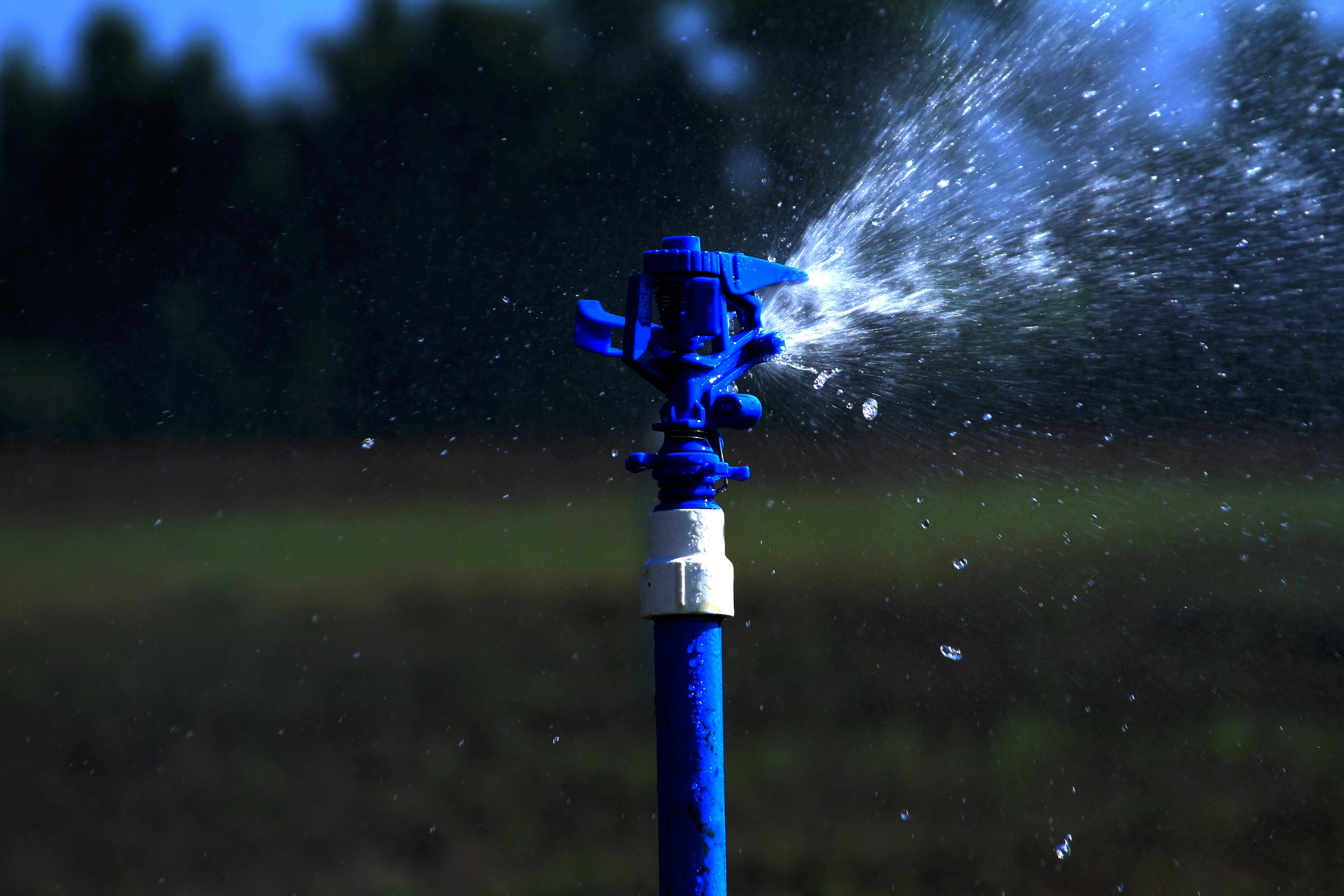 Free stock photo of clean water, crops, farm