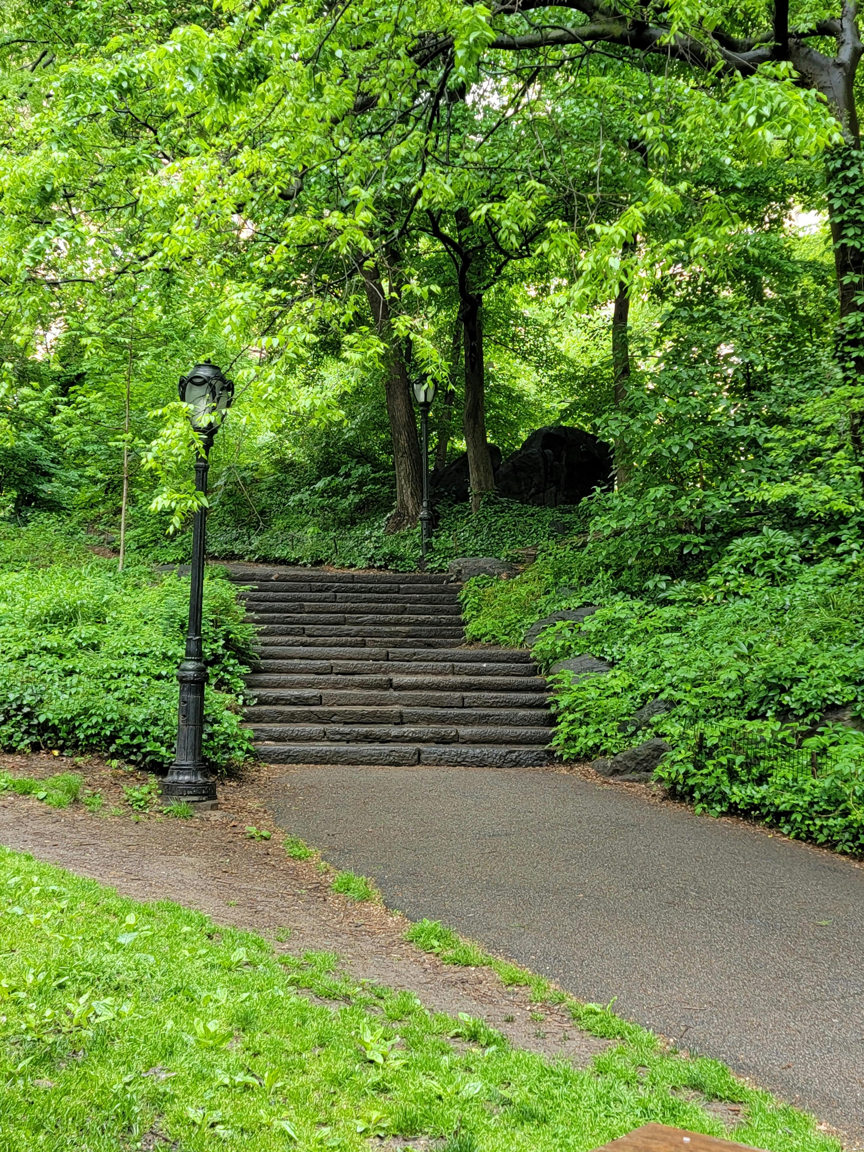 A path with stairs leading to a park · Free Stock Photo
