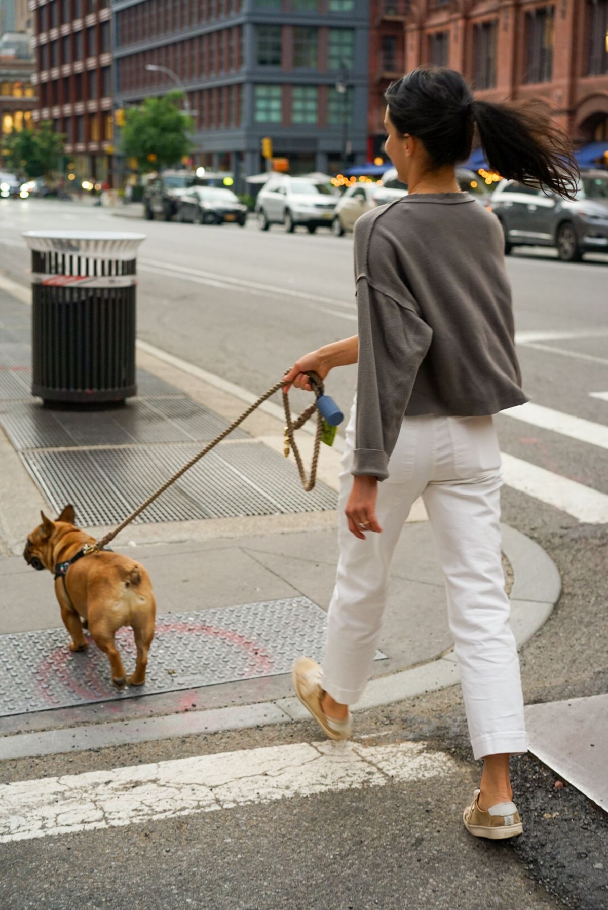 Dog Walking Photos, Download The BEST Free Dog Walking Stock Photos ...