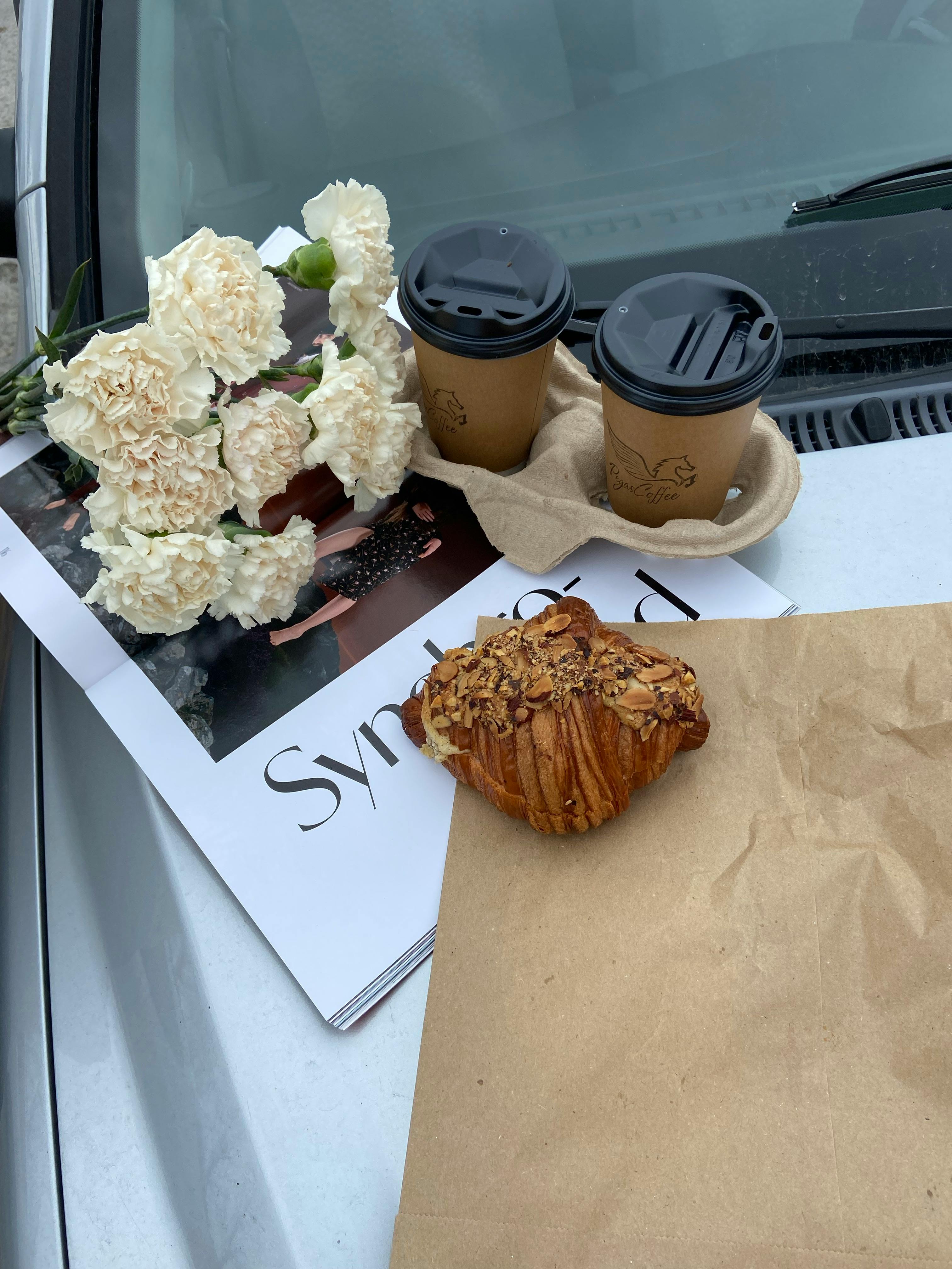 Foto stok gratis tentang anyelir, anyelir putih, biasa saja, buket ...