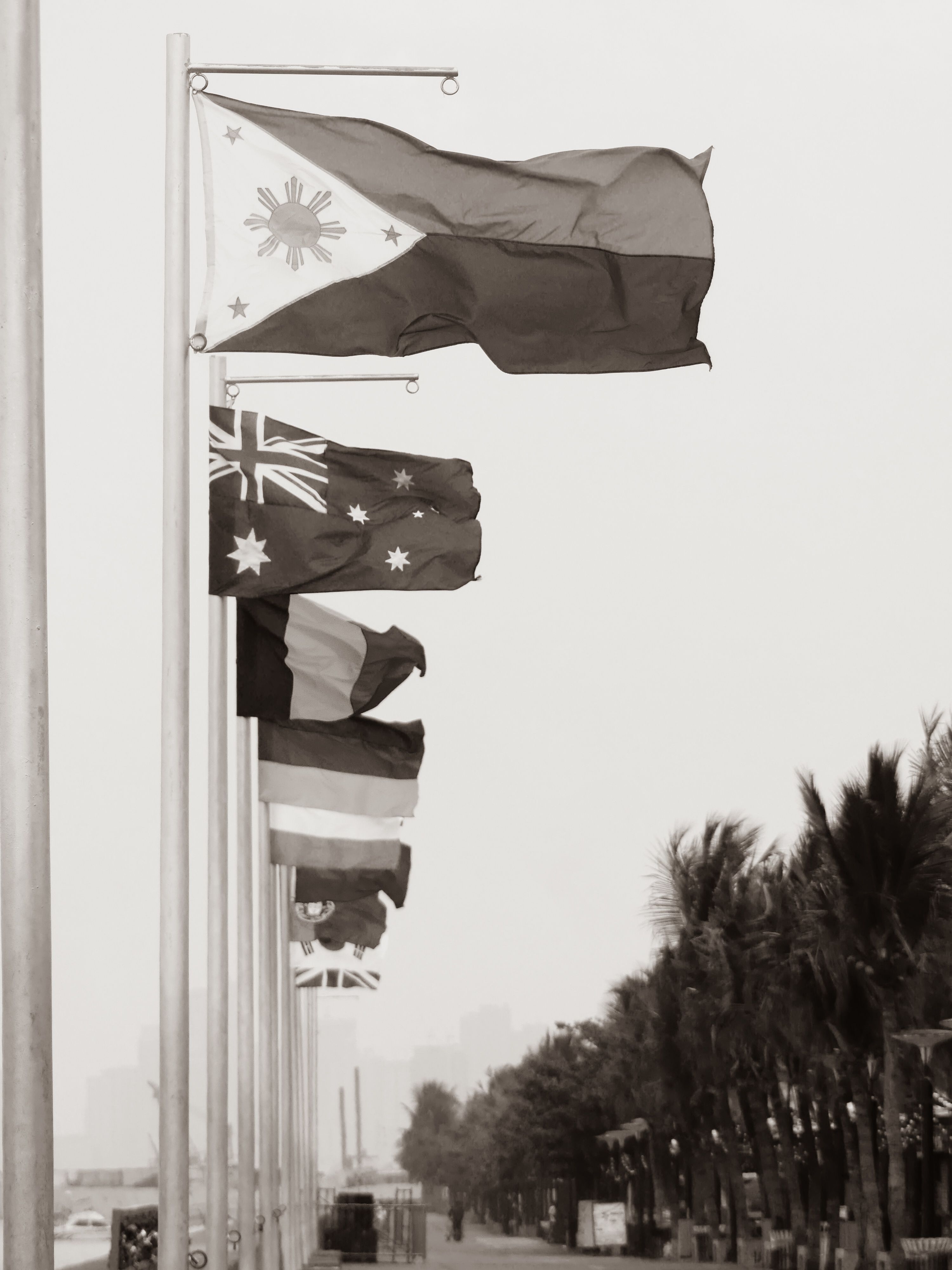 Black and White Photo of Masts with Countries Flags in a Park · Free ...