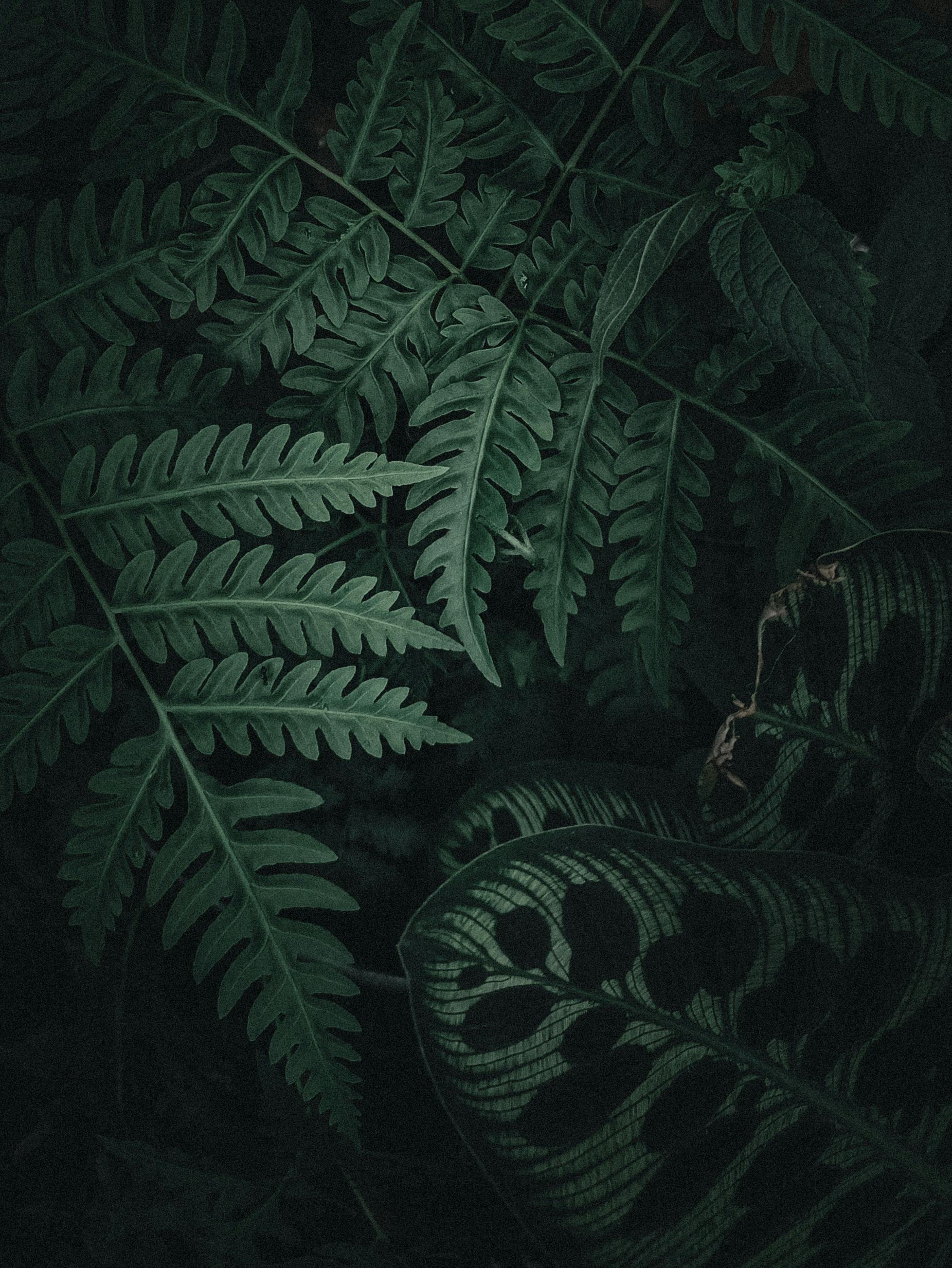 Rain Philippines Photos, Download The BEST Free Rain Philippines Stock ...