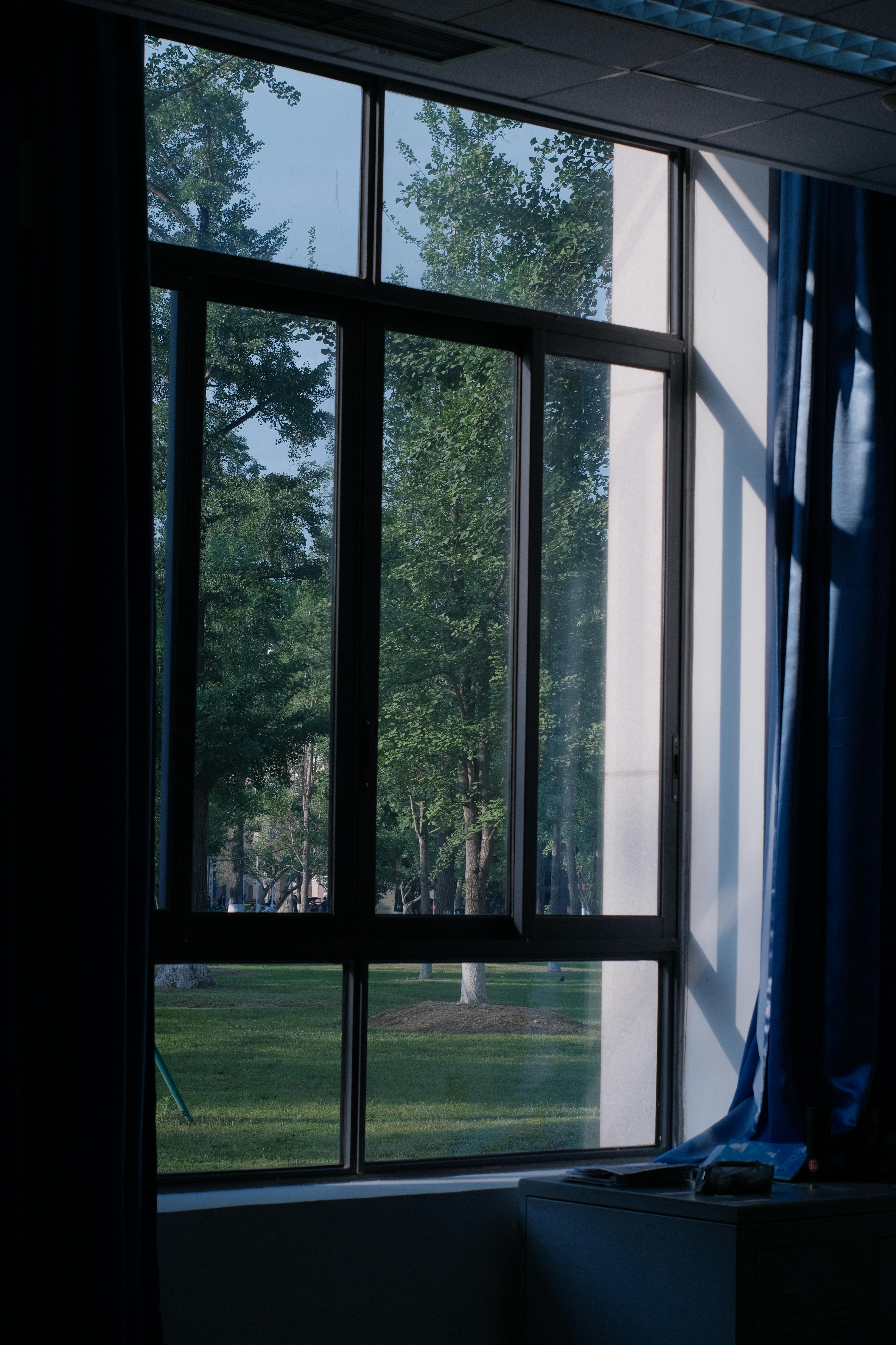 Park behind Windows · Free Stock Photo