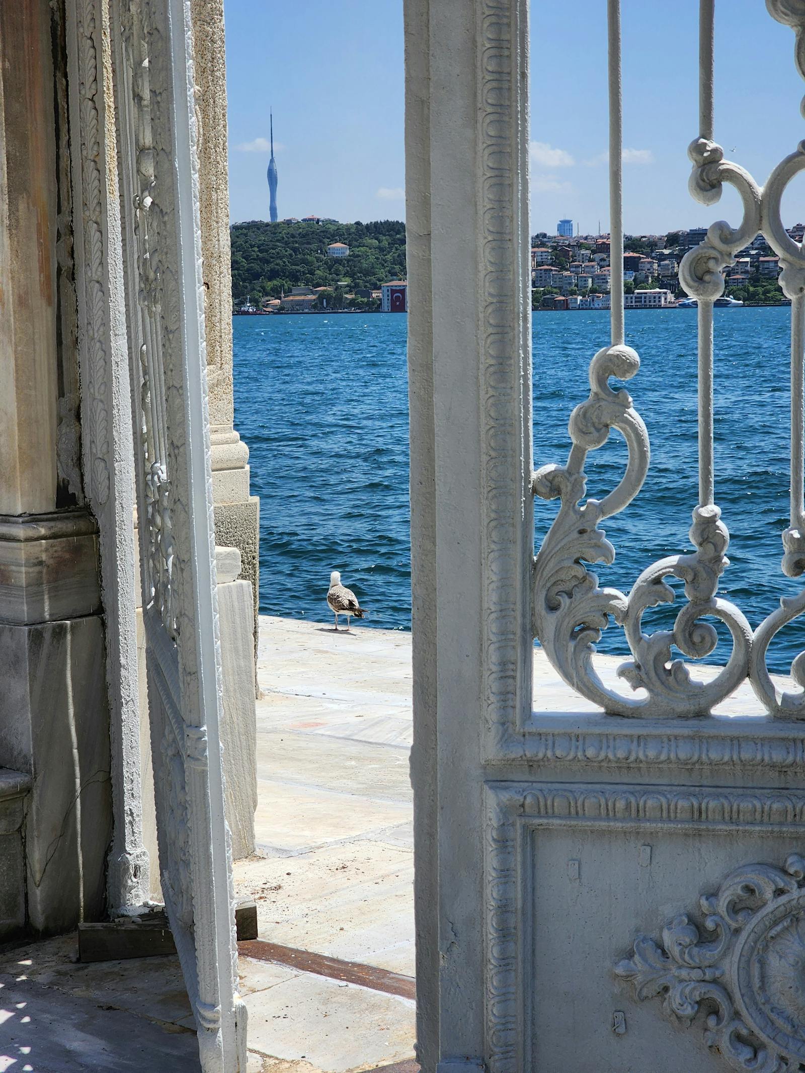 Open Source Photos, Download The BEST Free Open Source Stock Photos ...