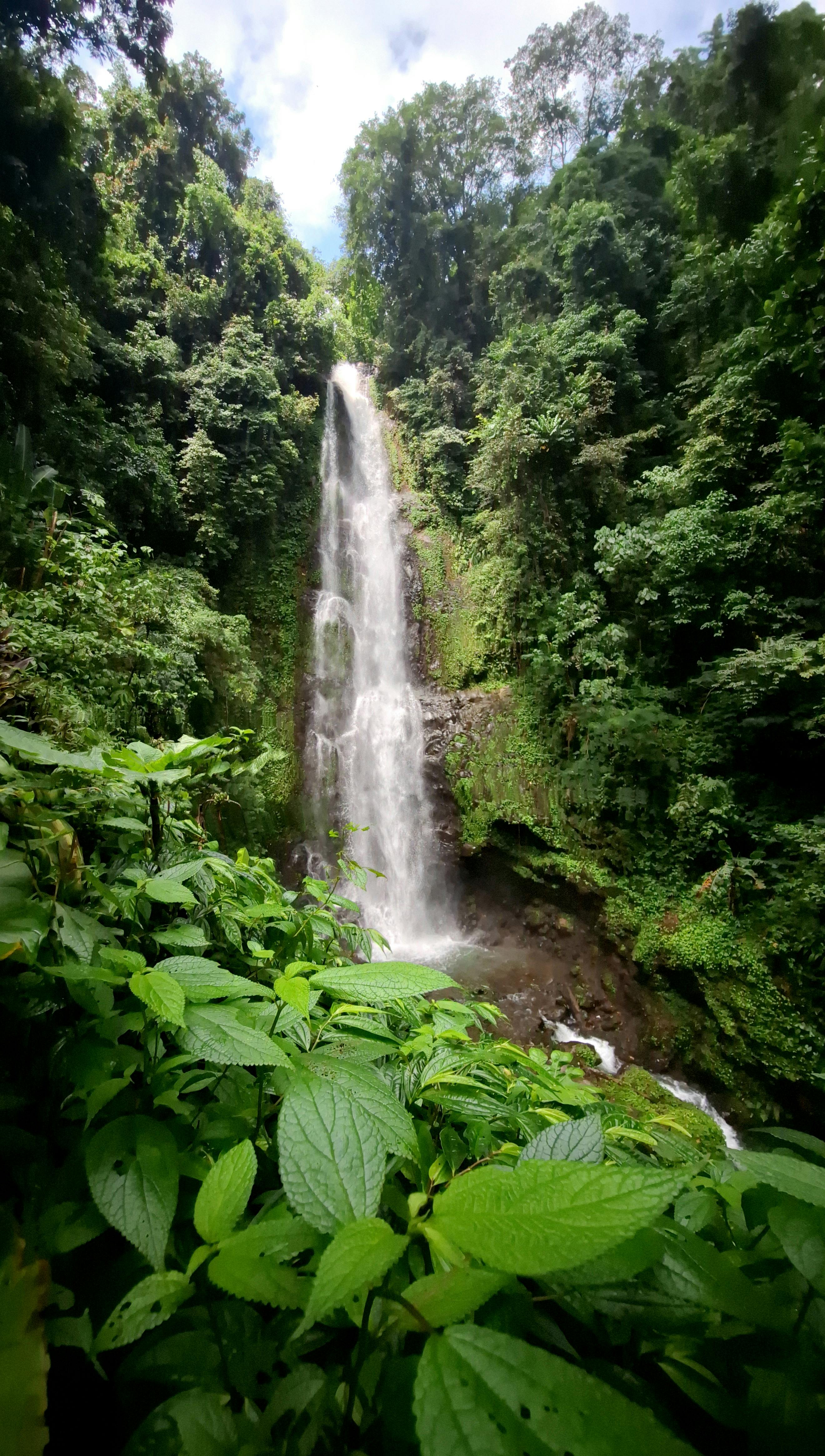 Photographie De Cascades Entre Les Arbres · Photo gratuite