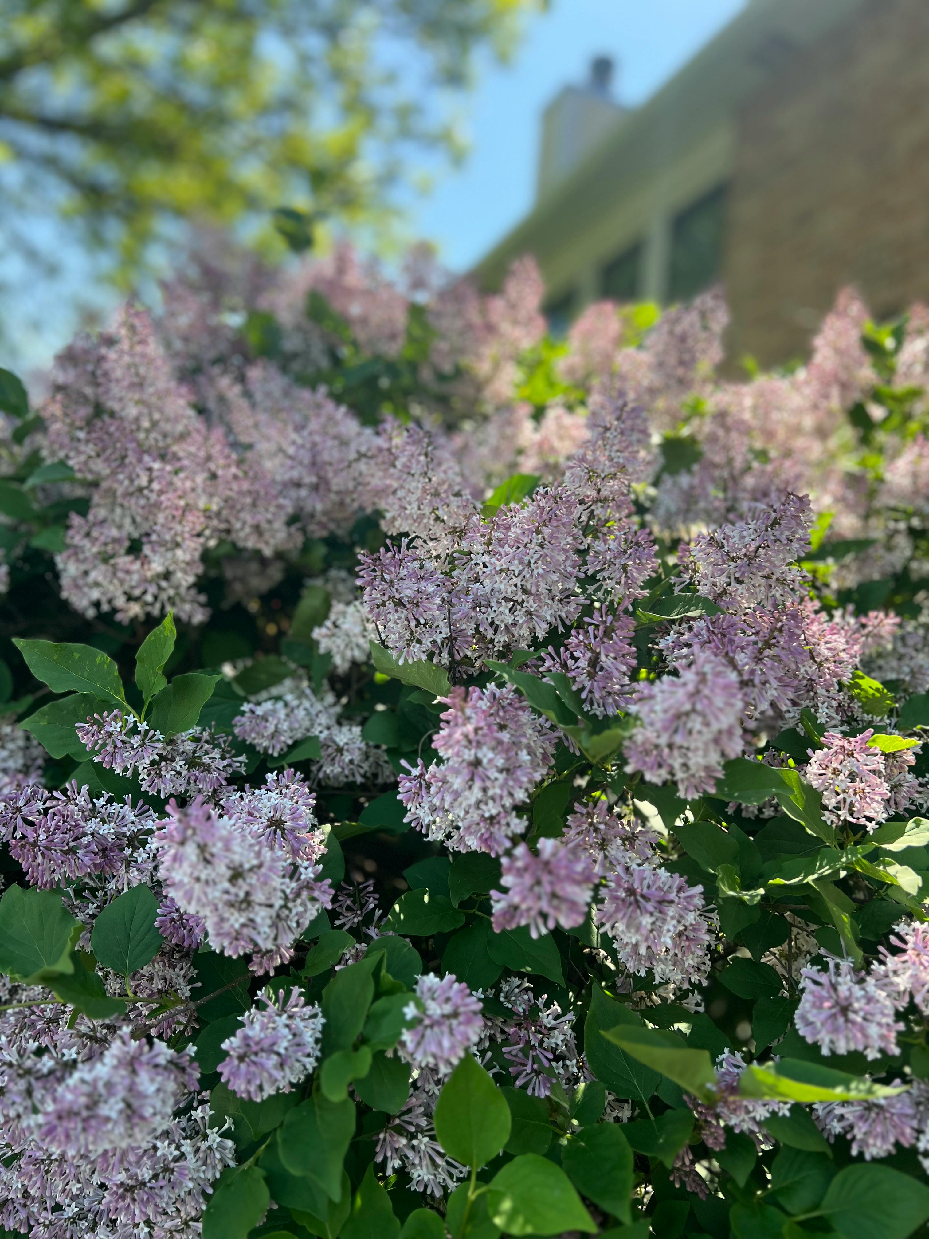 Nad Batayeh - Photography