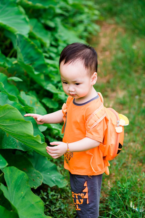 Kids Backpack Photos, Download The BEST Free Kids Backpack Stock Photos ...